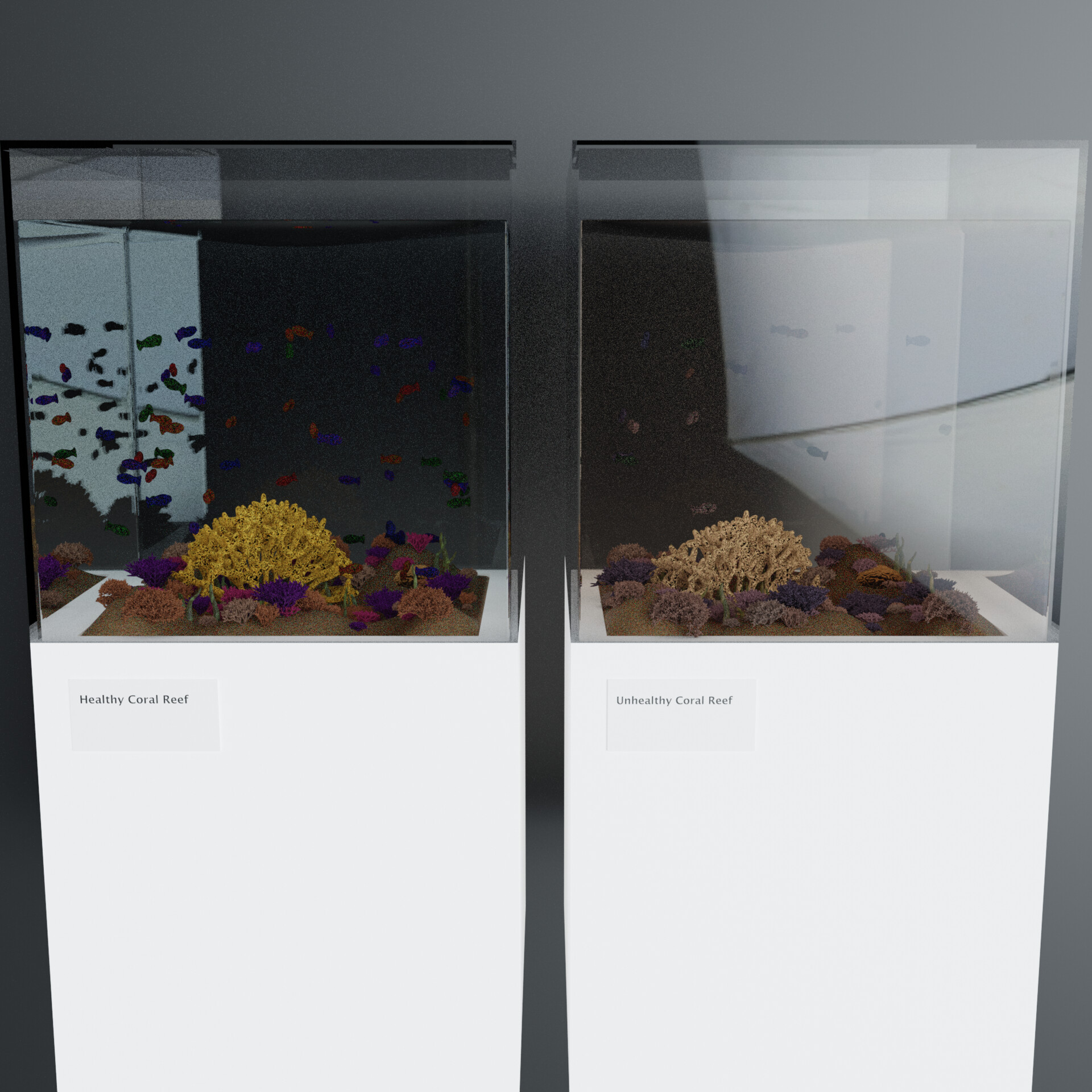 Jared Mason - Museum of Nature