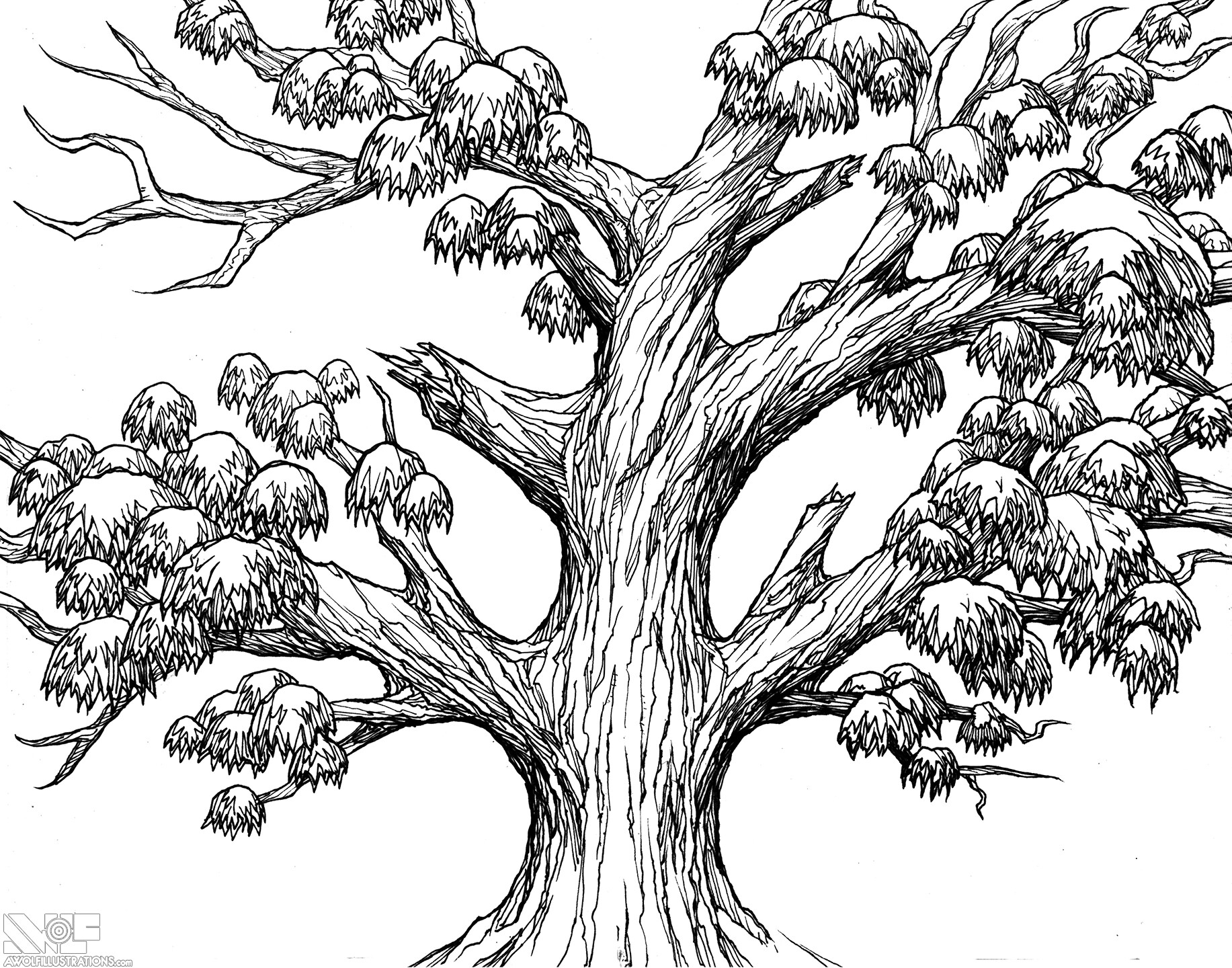 how to draw a tree for project