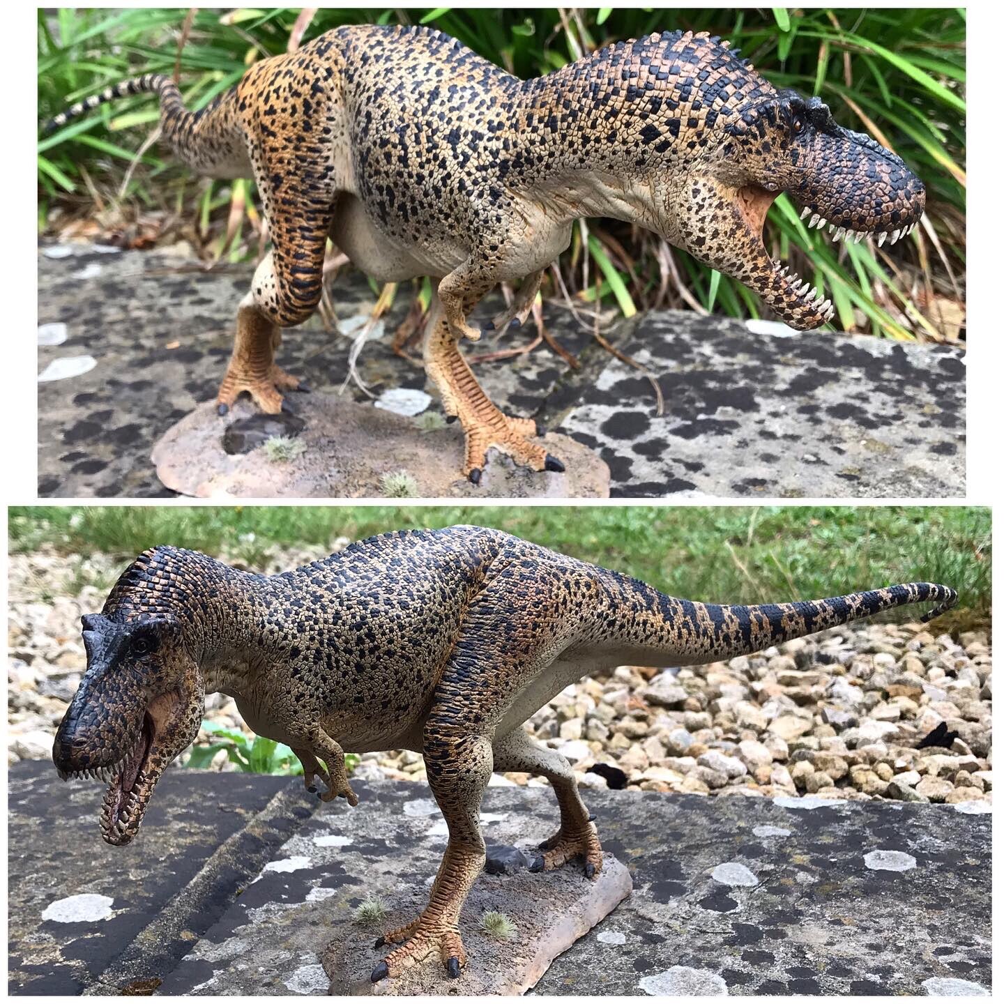 AKRex - Daspletosaurus torosus 1:20 Scale Resin Model Kit