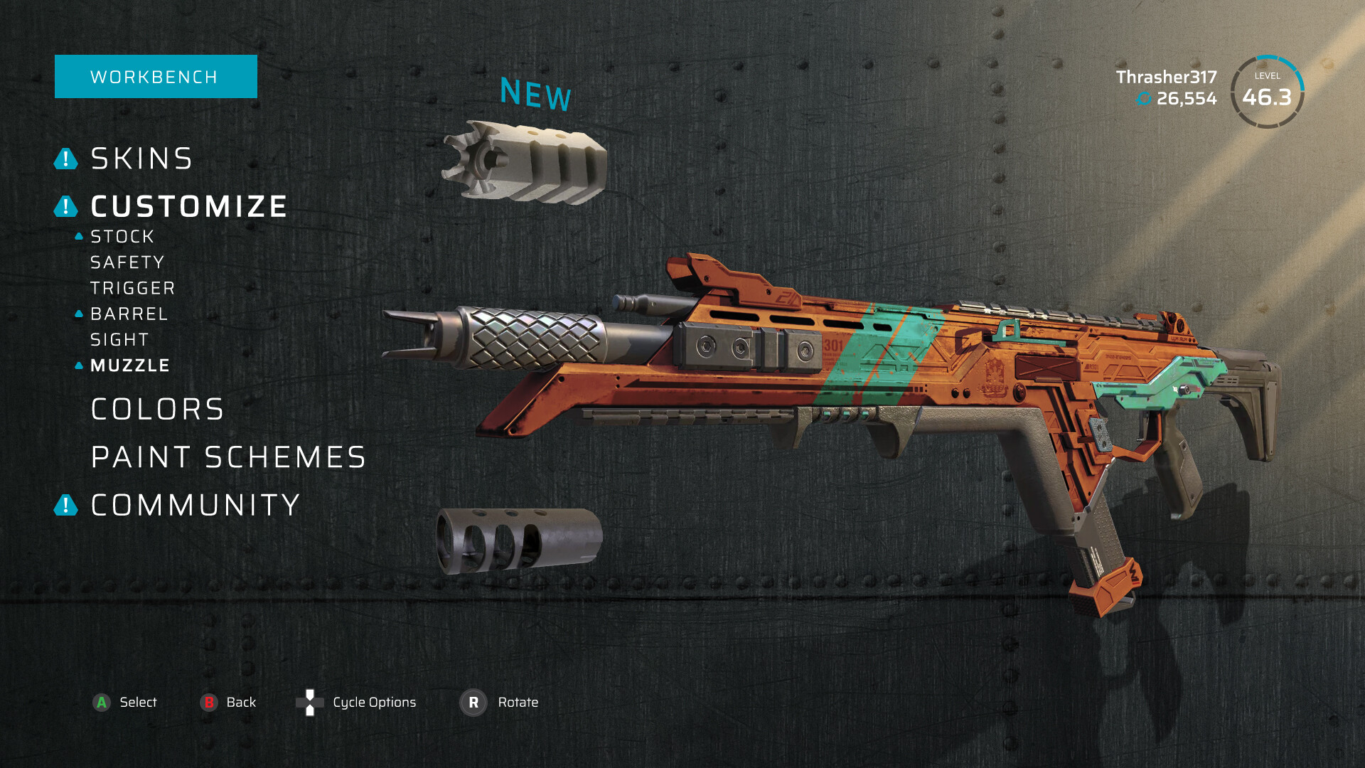 Titanfall Weapon Customization