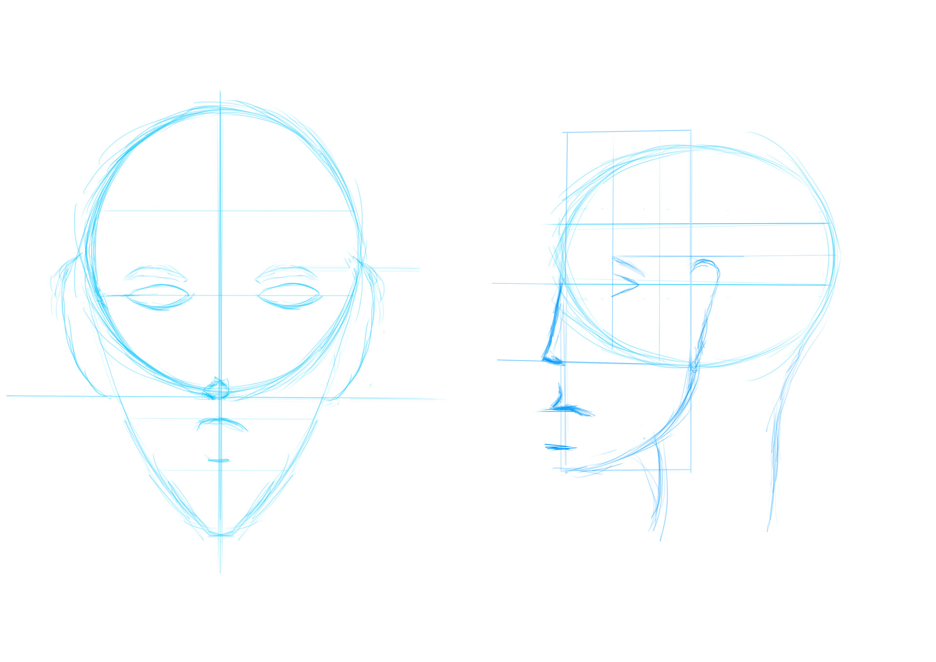 How To Draw A Human Head Side View