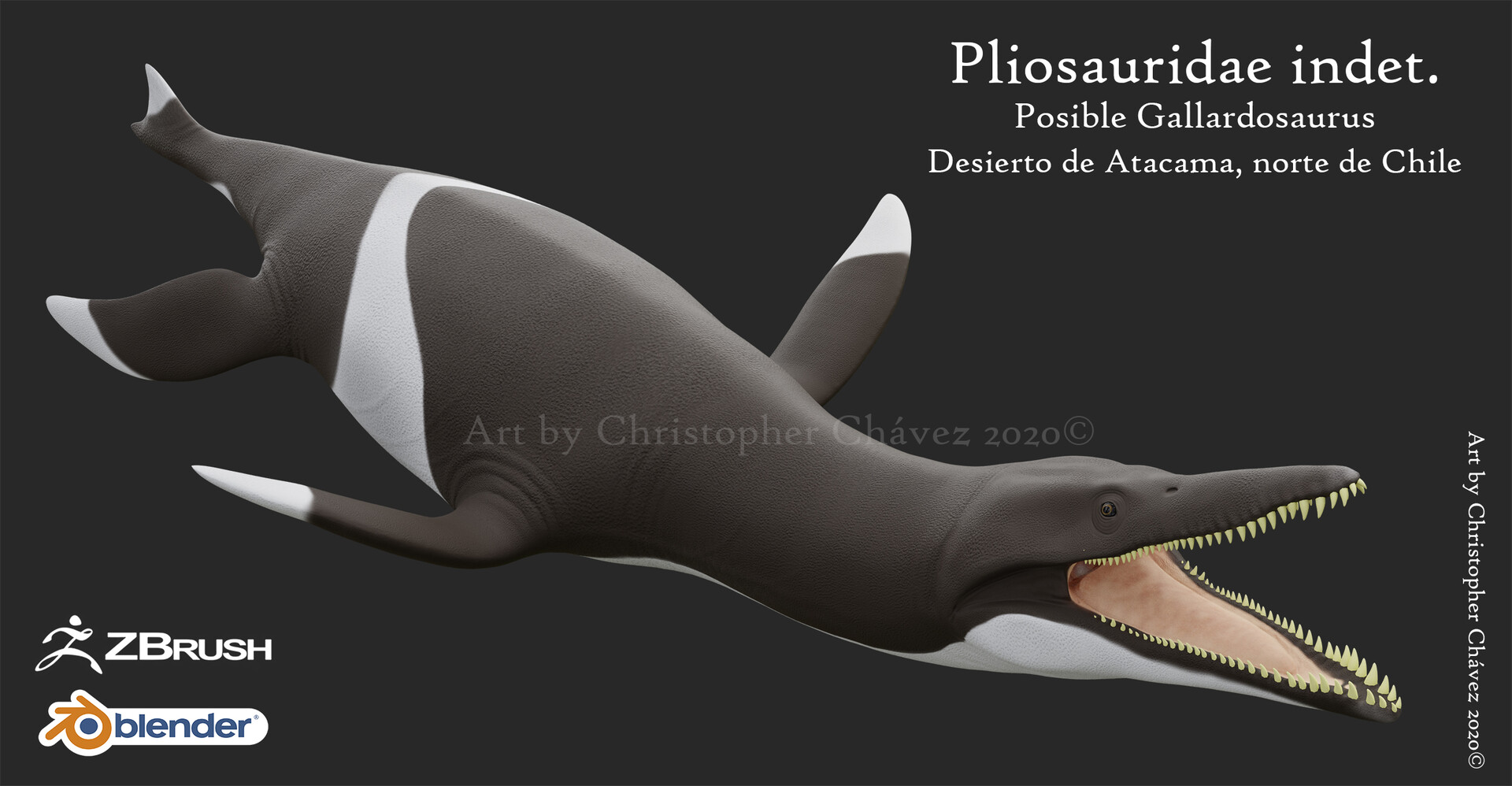 ArtStation - Pliosauridae indet. (Gallardosaurus?)