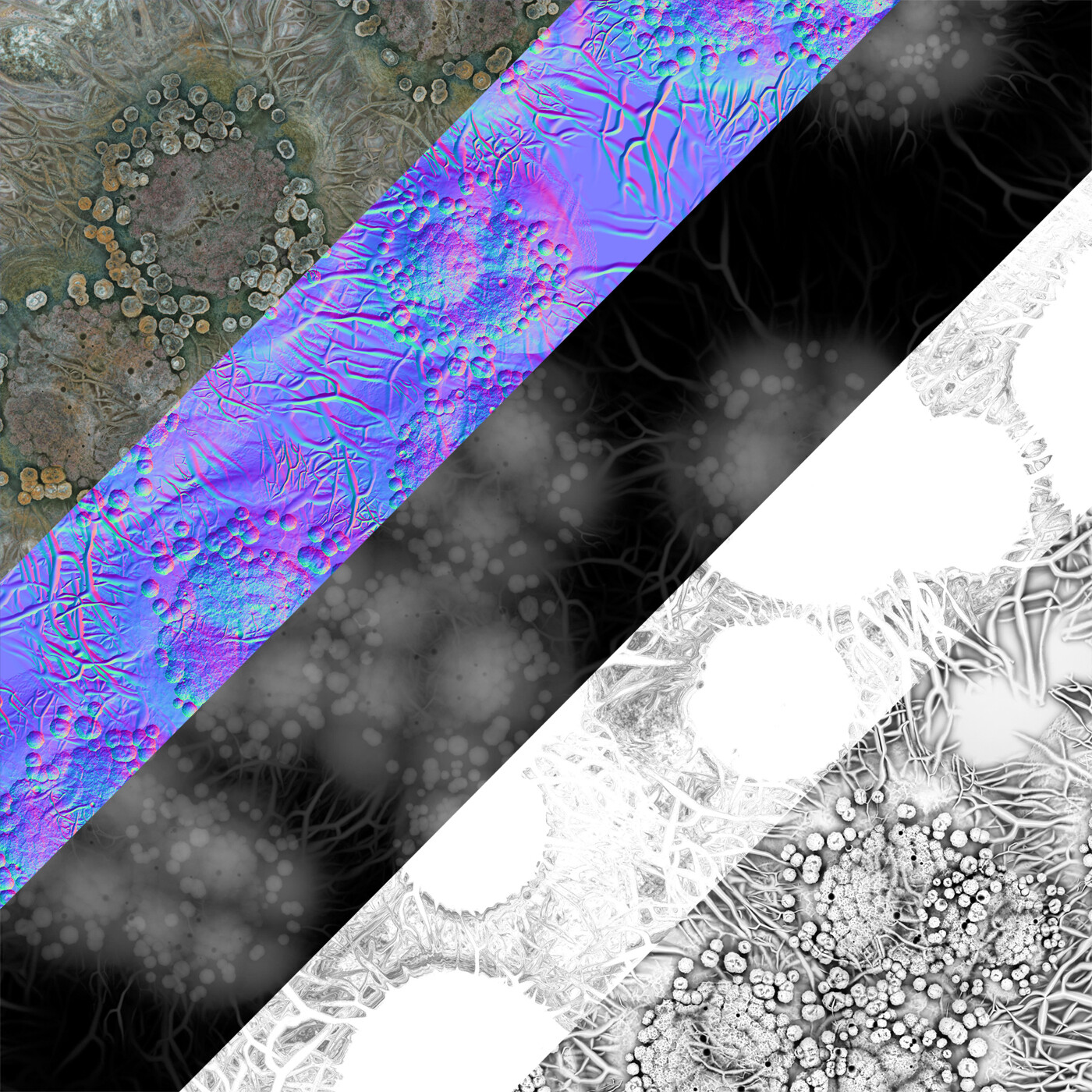 Amin Barmaki - Mold material