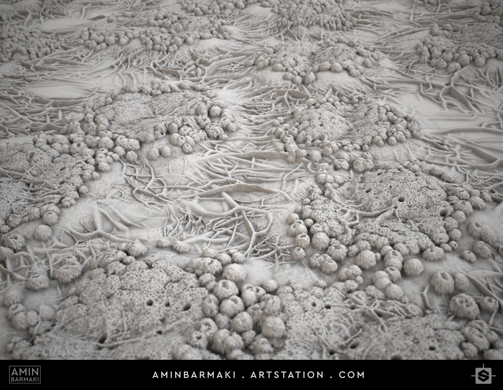 Amin Barmaki - Mold material