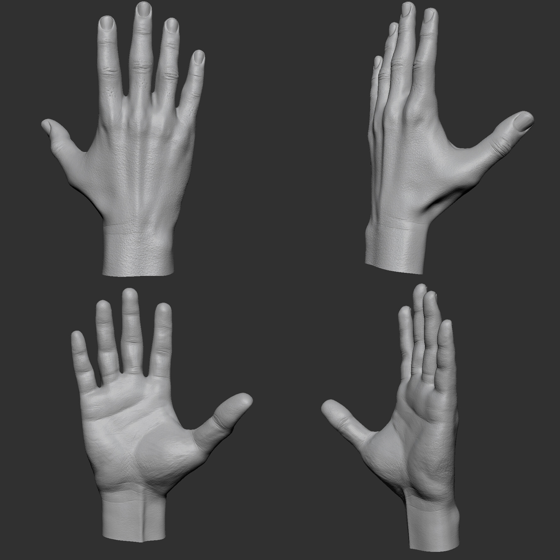 Human Hand Reference