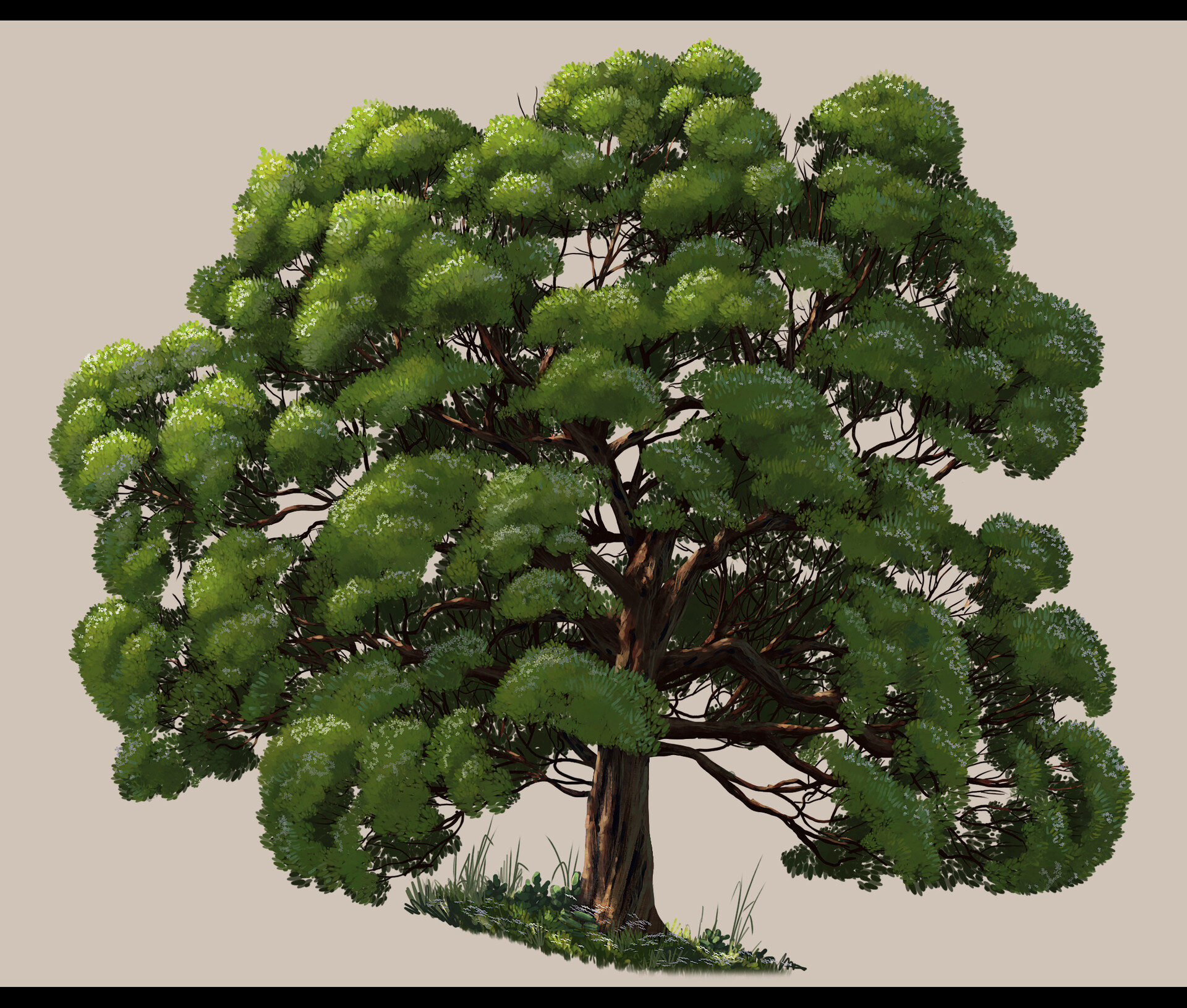 ArtStation - Trees Paint Practice & free custom brushes