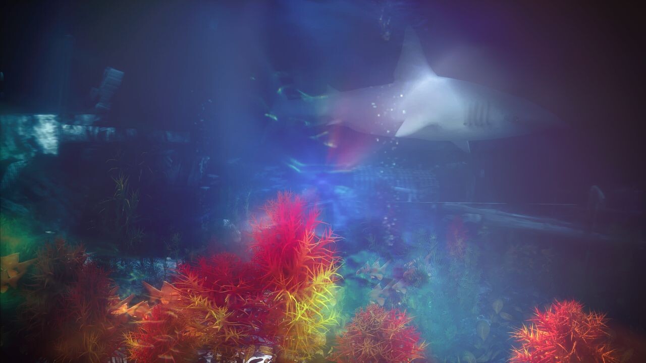 Julian-Patrick Burmeister - The Shark