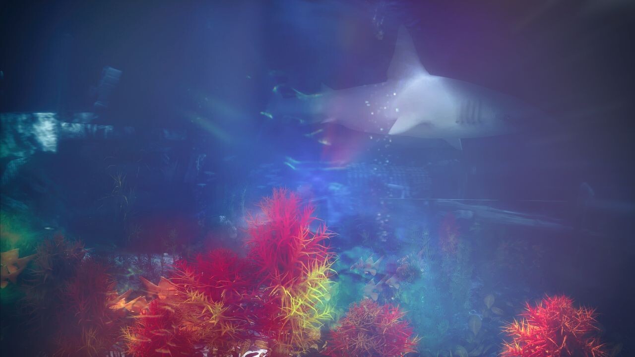 Julian-Patrick Burmeister - The Shark