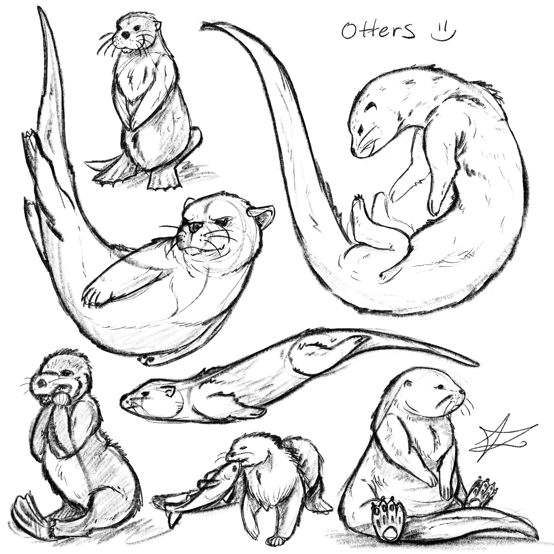 AJ Blake - Animal Life Sketching - September 2020