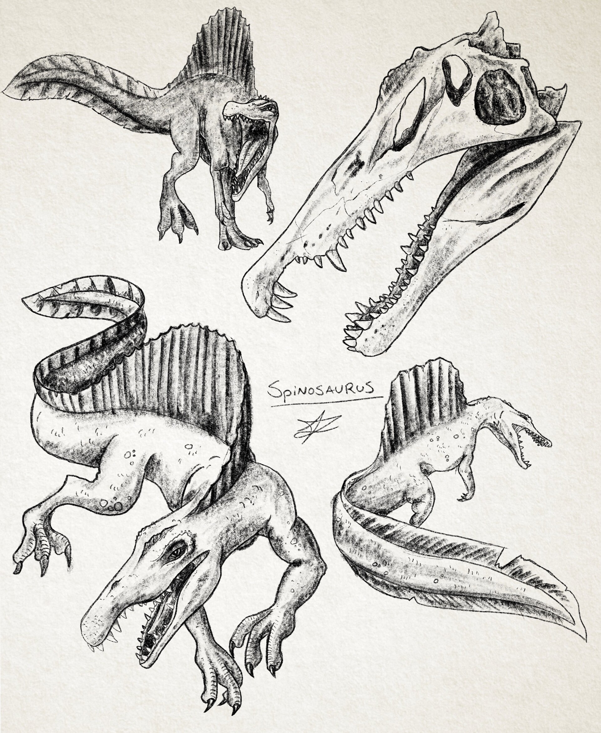 ArtStation - Spino-Sketches