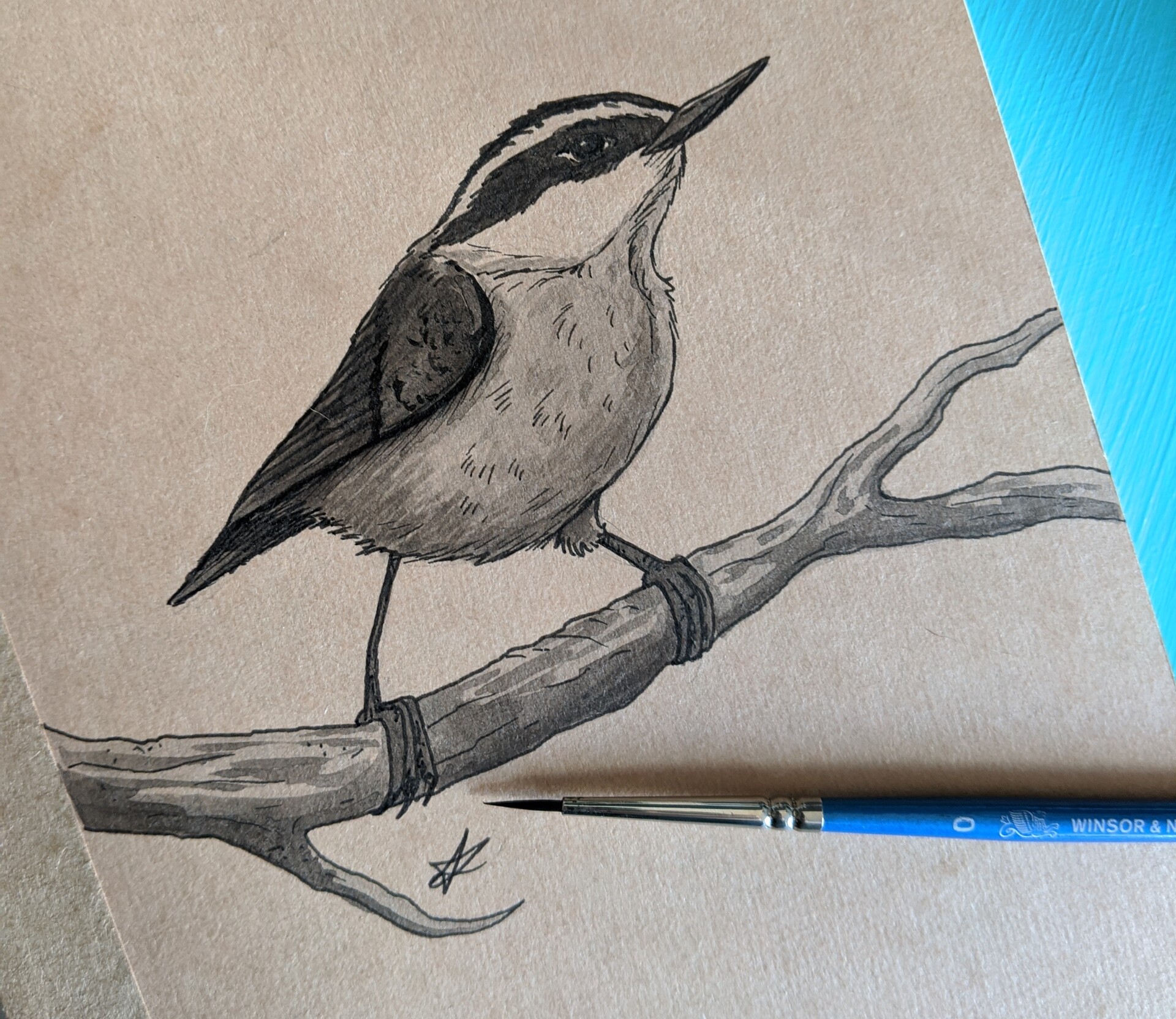 AJ Blake - Bird Sketching How-To Book