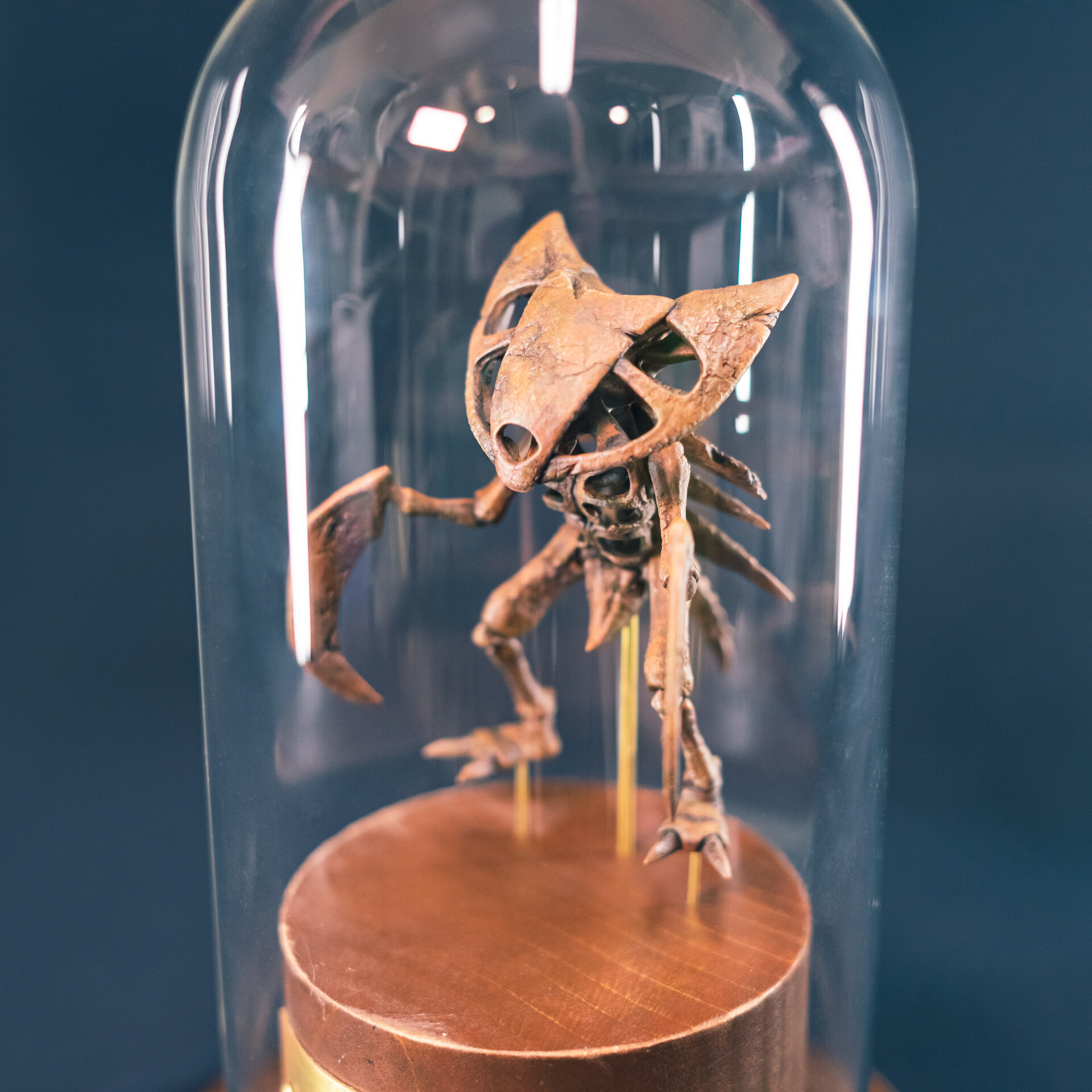 ArtStation - Fossil of Kabutops