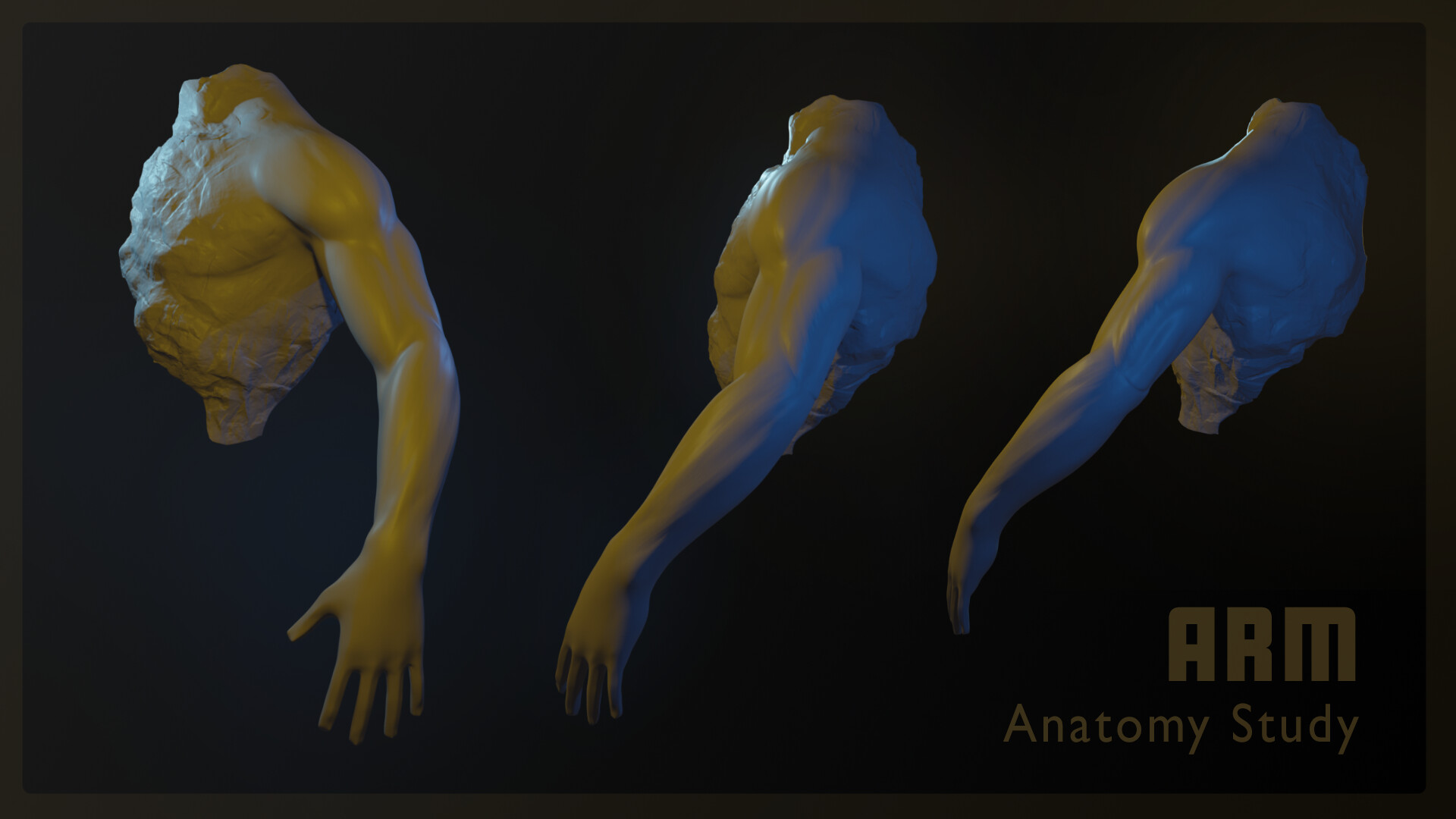 ArtStation - Arm Anatomy Study