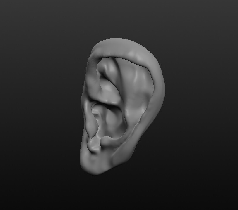 ArtStation - 3D Ear sculpting