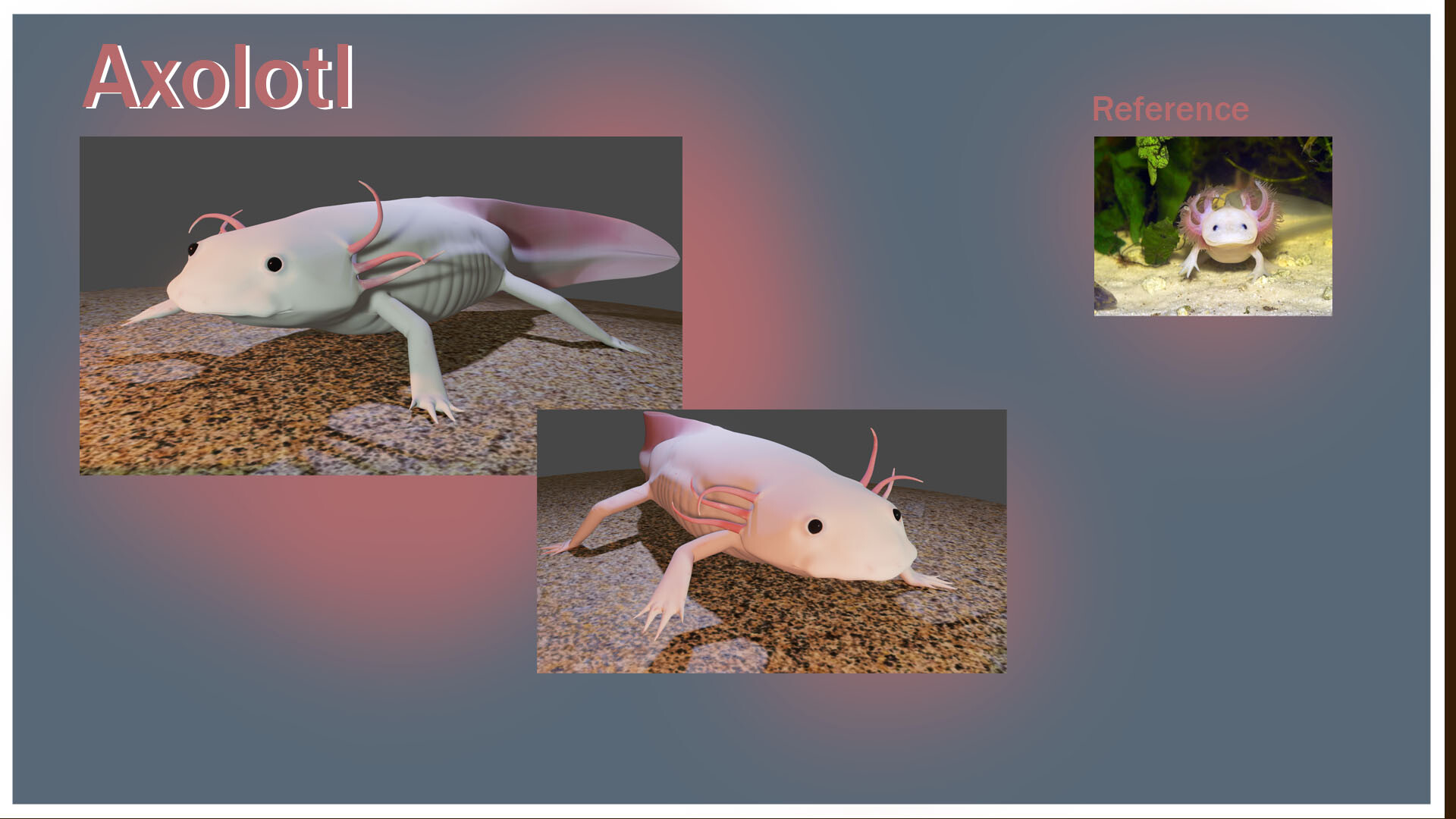 ArtStation - Axolotl Model