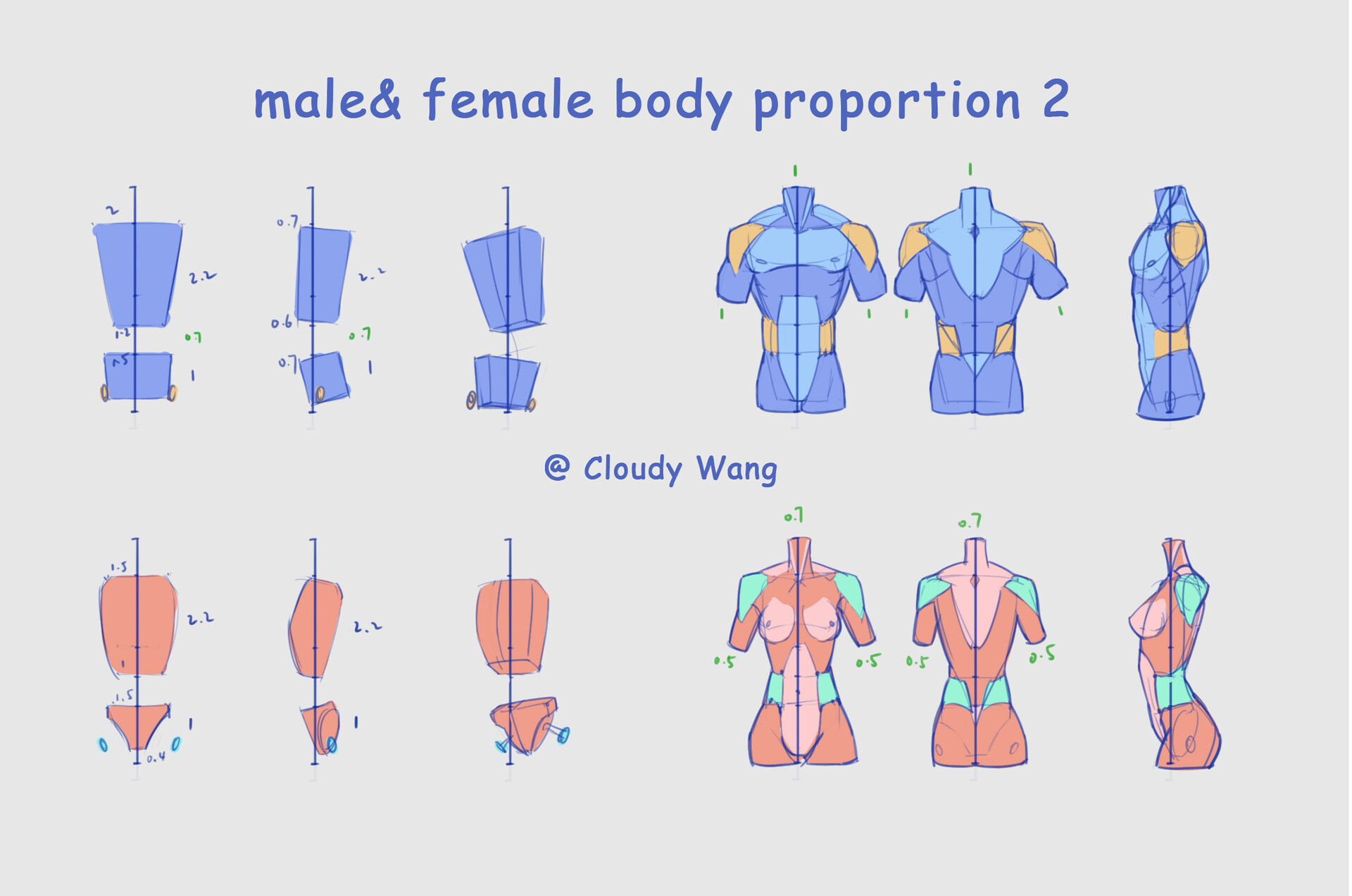 ArtStation - male and female body proportion #2