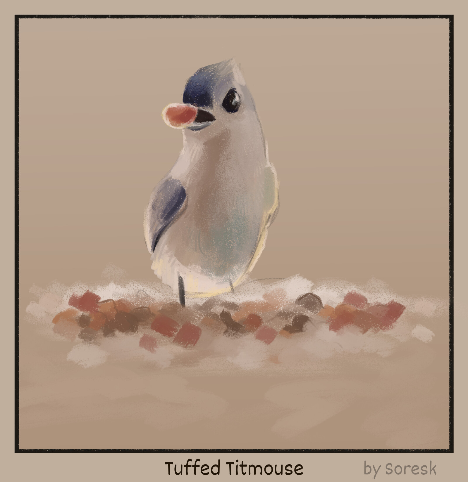 ArtStation - Titmouse Sketch