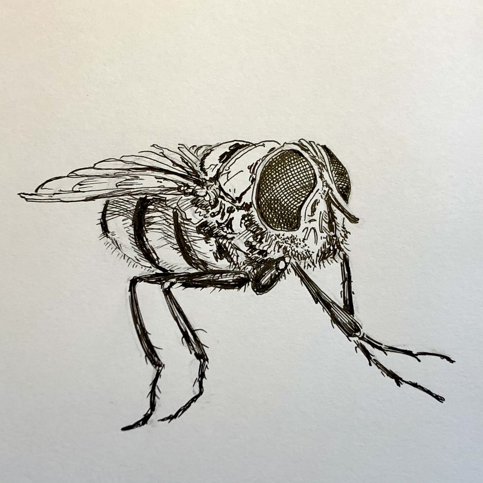 ArtStation - Disgusting