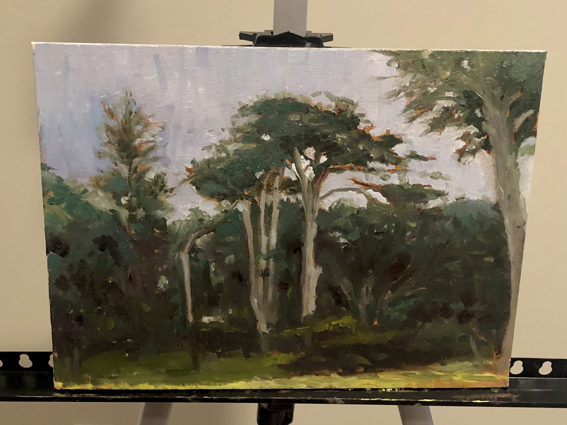 ArtStation - oil painting study