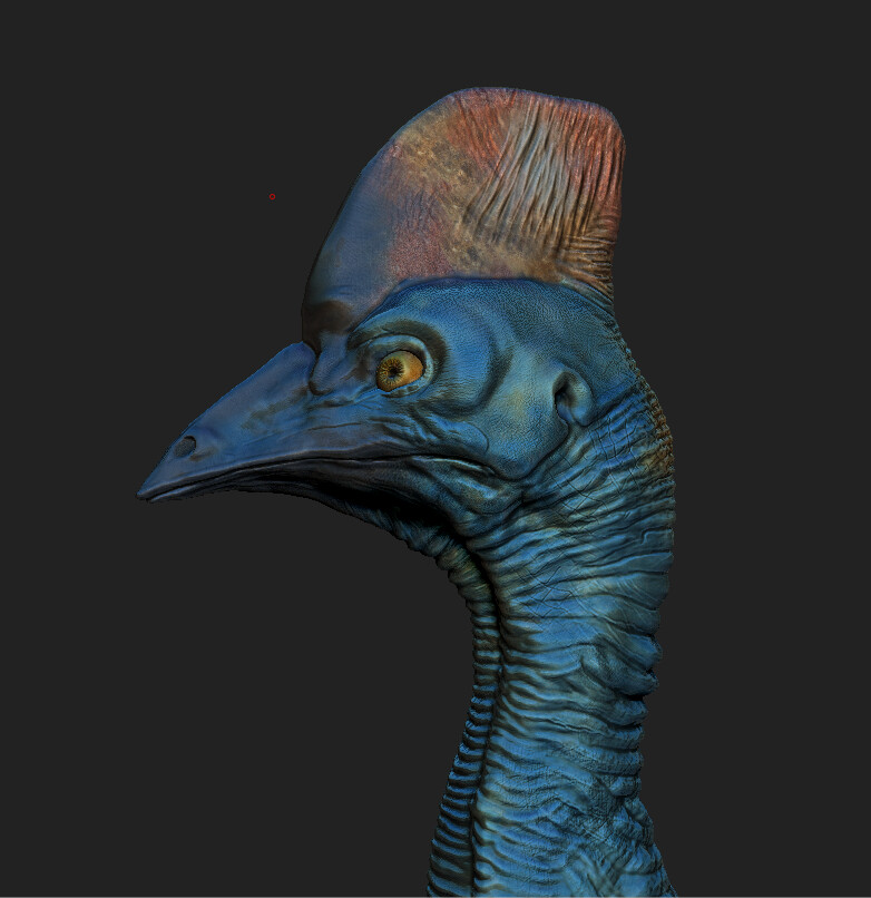 ArtStation - Cassowary