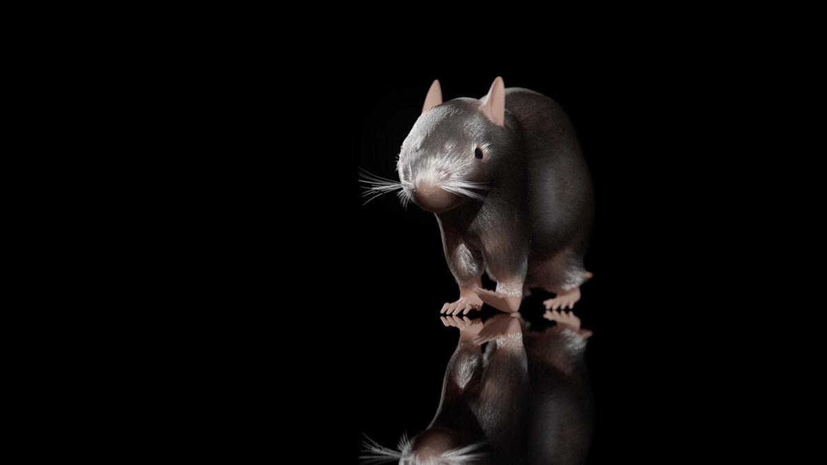 ArtStation - CGi Mouse