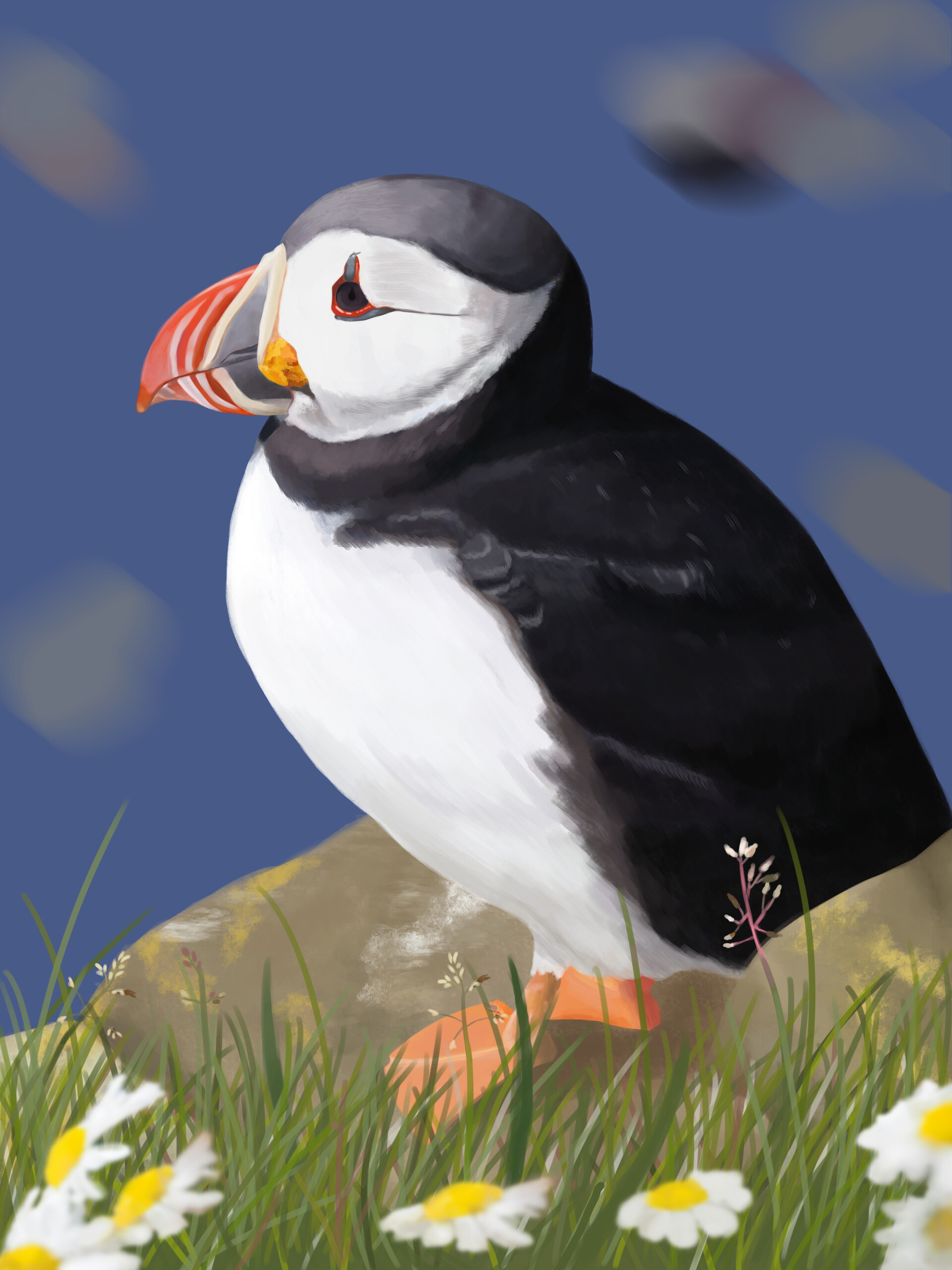 ArtStation - Atlantic puffin