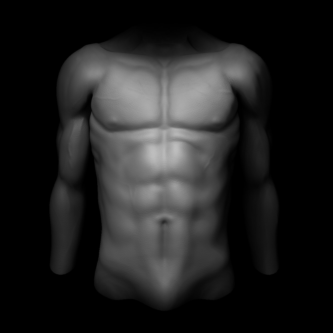 ArtStation - Torso study II