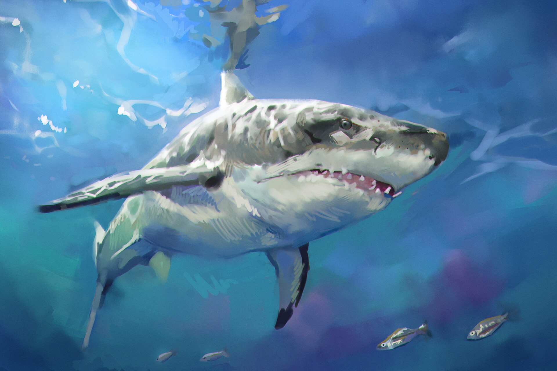 ArtStation - Shark