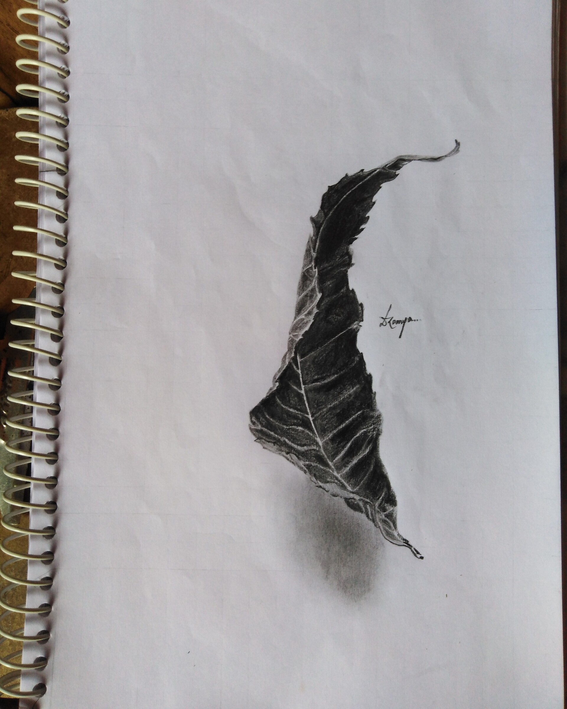 ArtStation - Dead leaf ...#realisticartwork