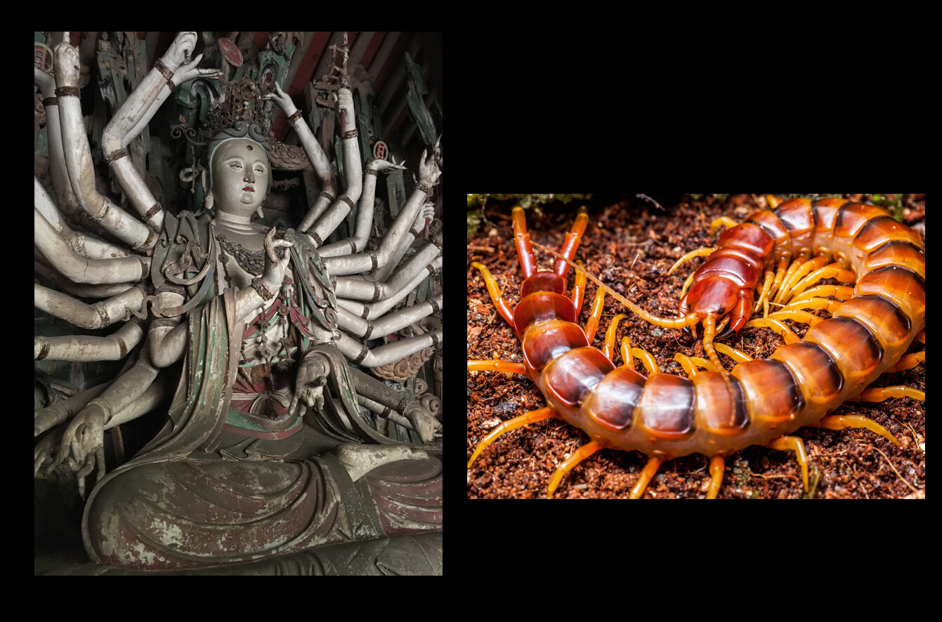 yangyang sui - Centipede god 千手天尊（蜈蚣精）