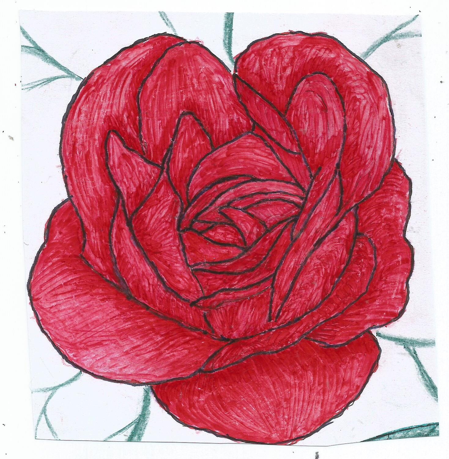 ArtStation - red rose