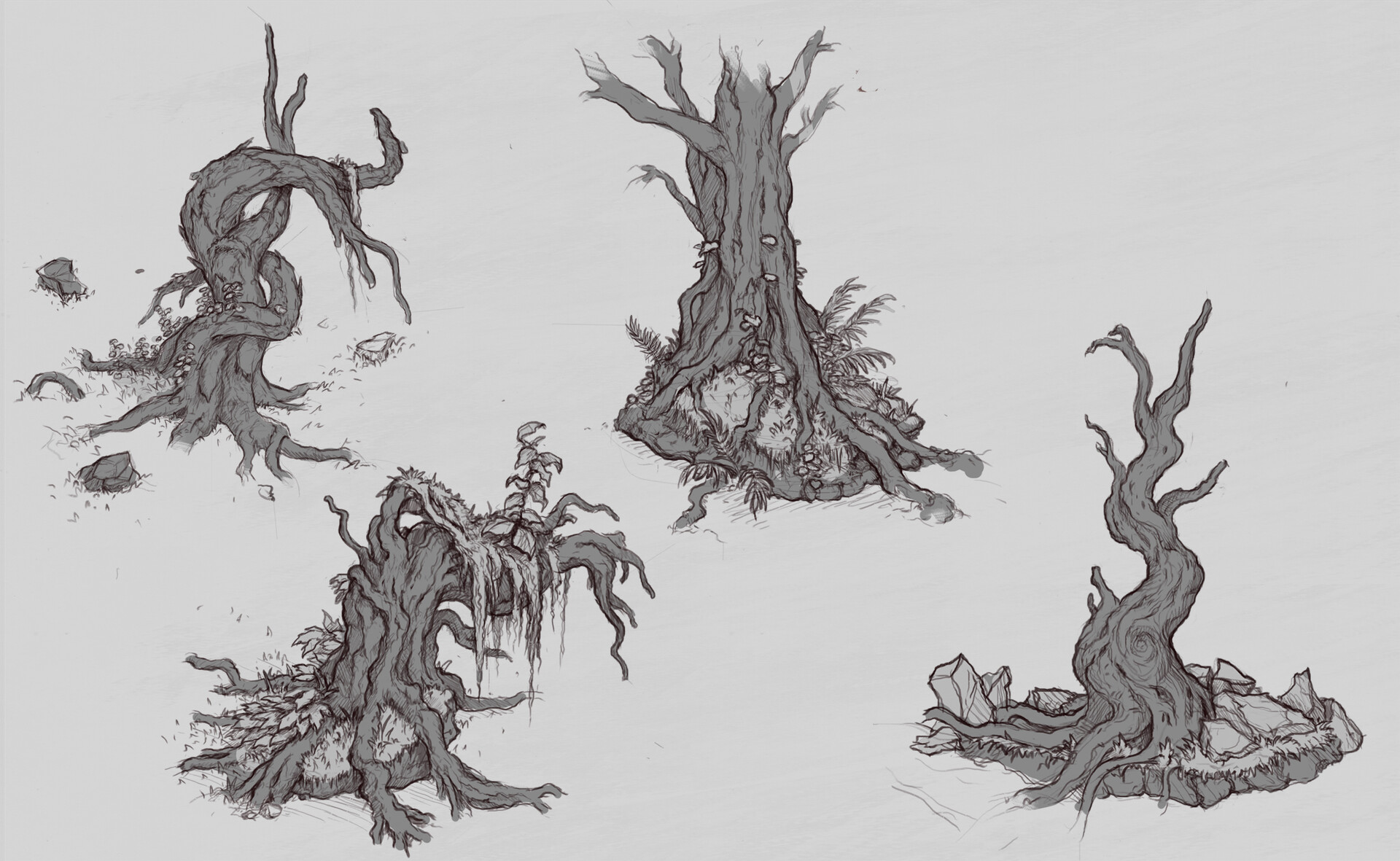 Swamp Tree Drawing