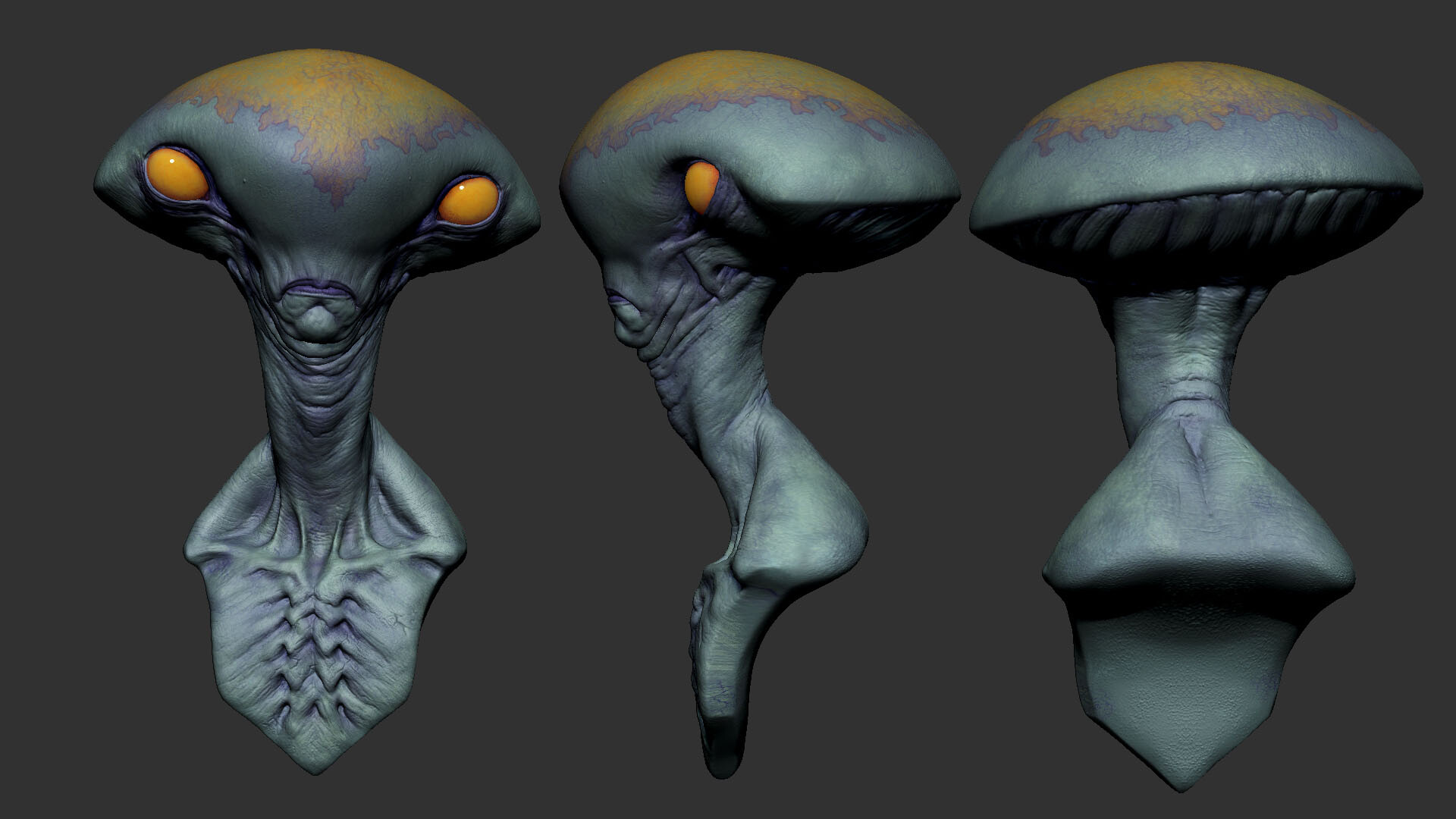 Thiago Vannuchi - Form Study - Jordu Schell