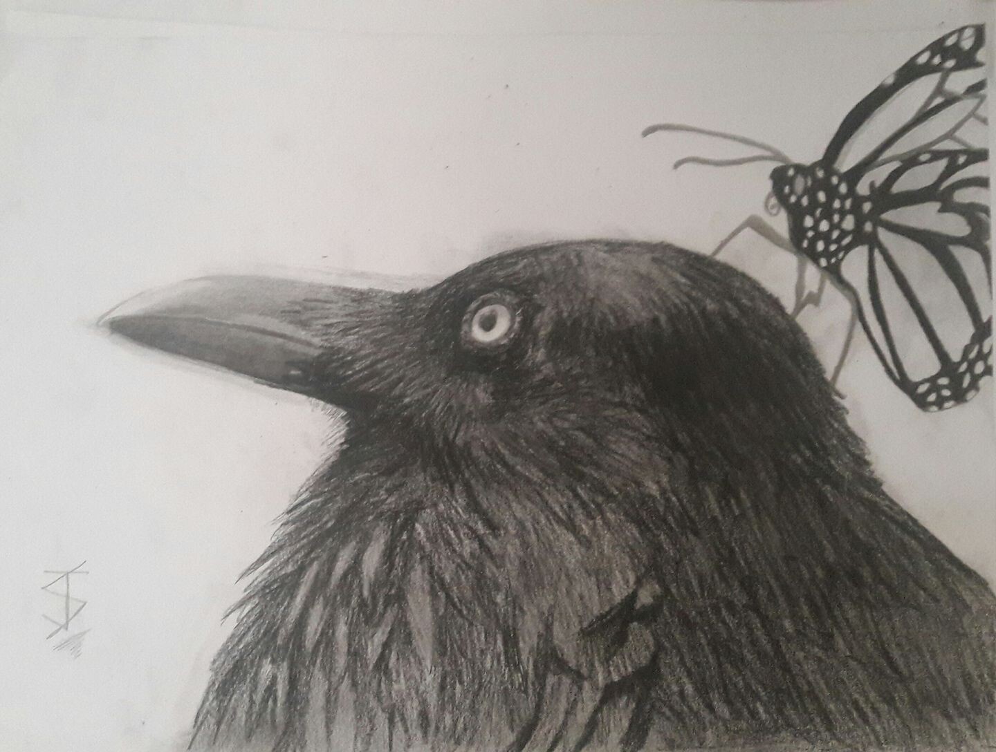 ArtStation - Crow (realism)