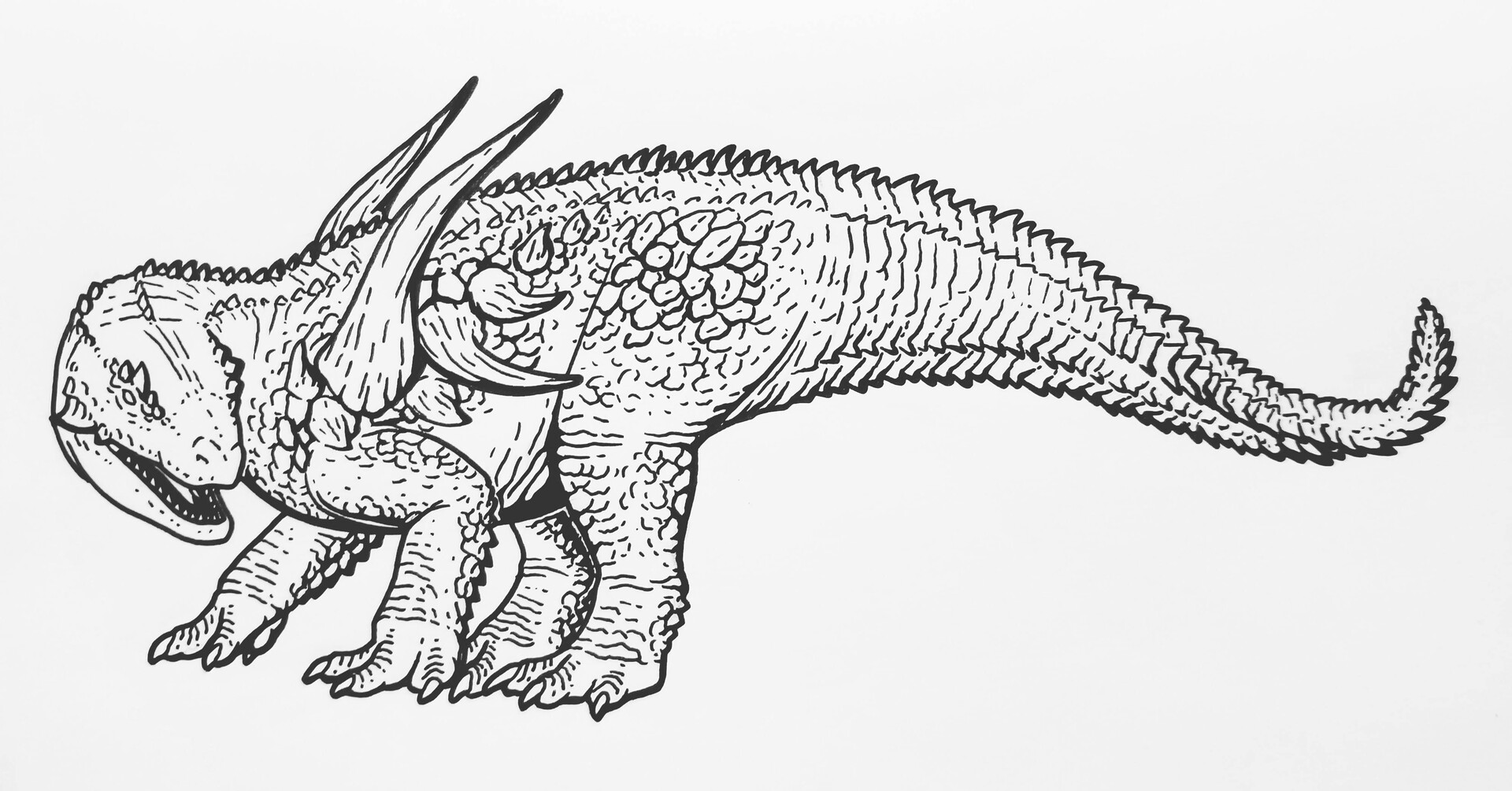 Einiosaurus Coloring Page