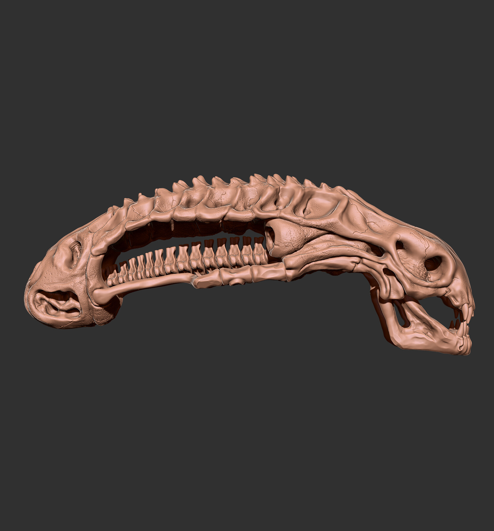 ArtStation - alien skull