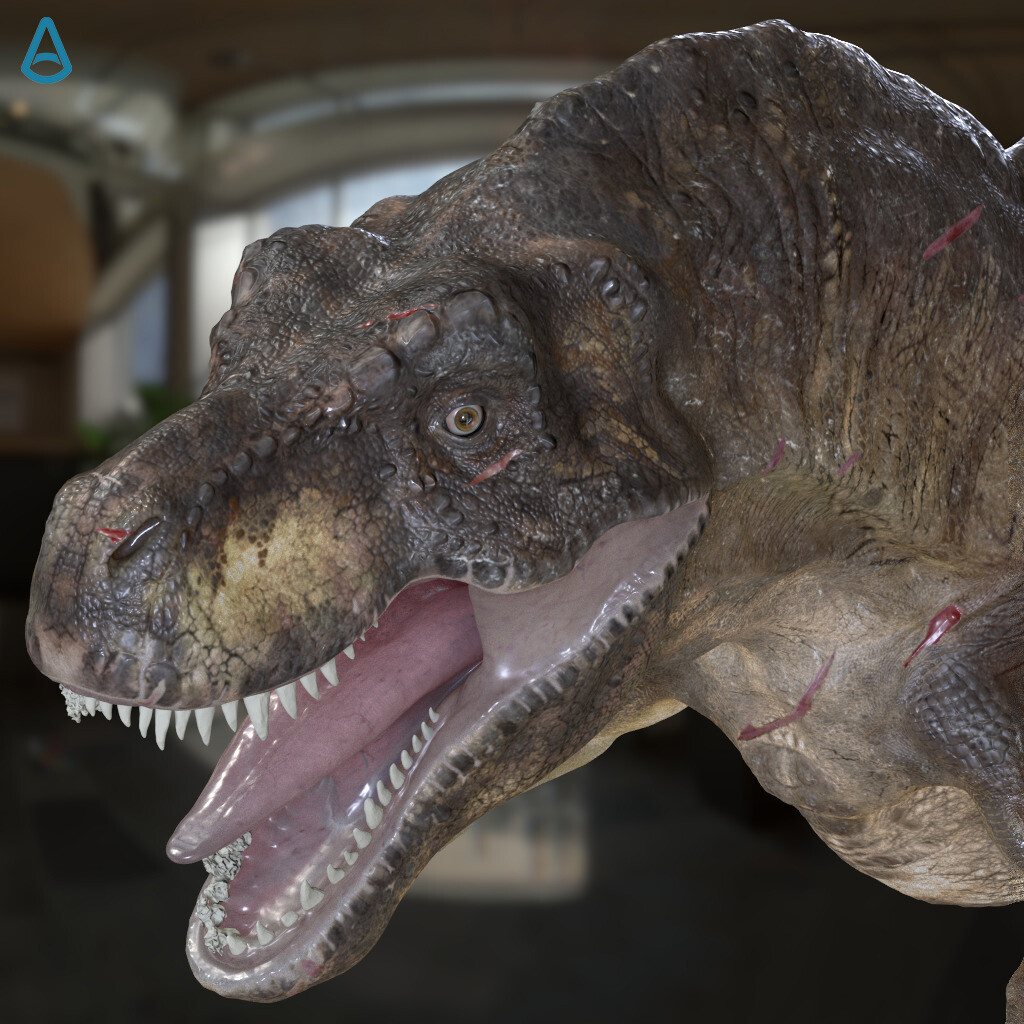 ArtStation - Dragon Arnold lookdev