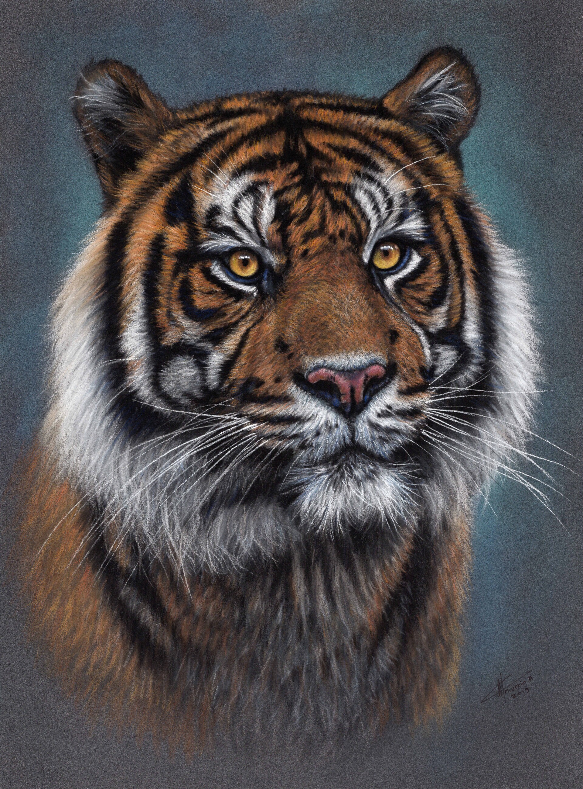 ArtStation - the tiger