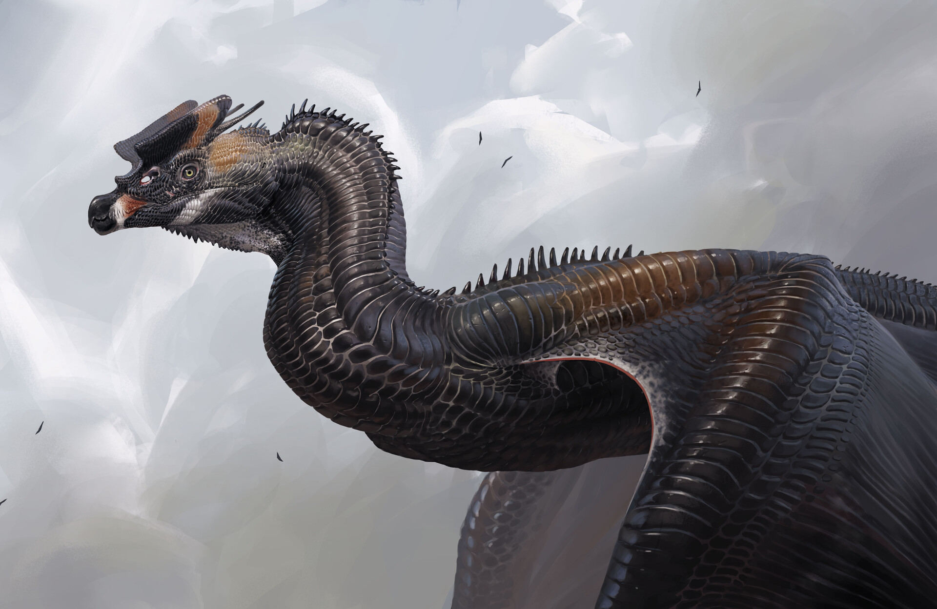 alexander-ostrowski-20.jpg (1920×1249)-花瓣网