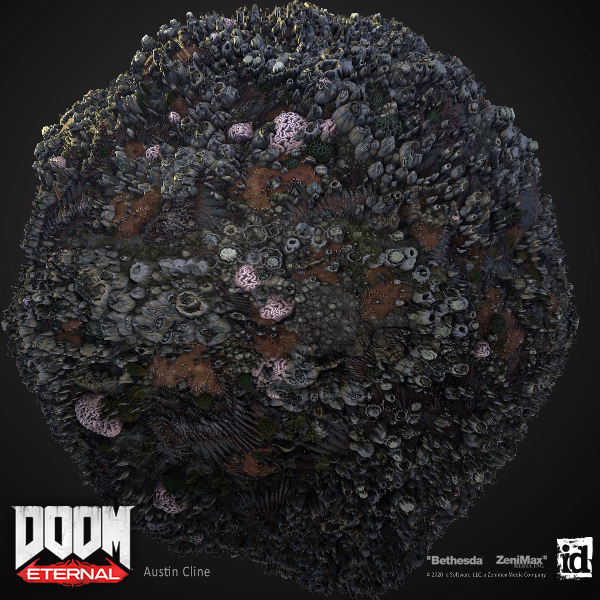 Austin Cline - coral and lichen