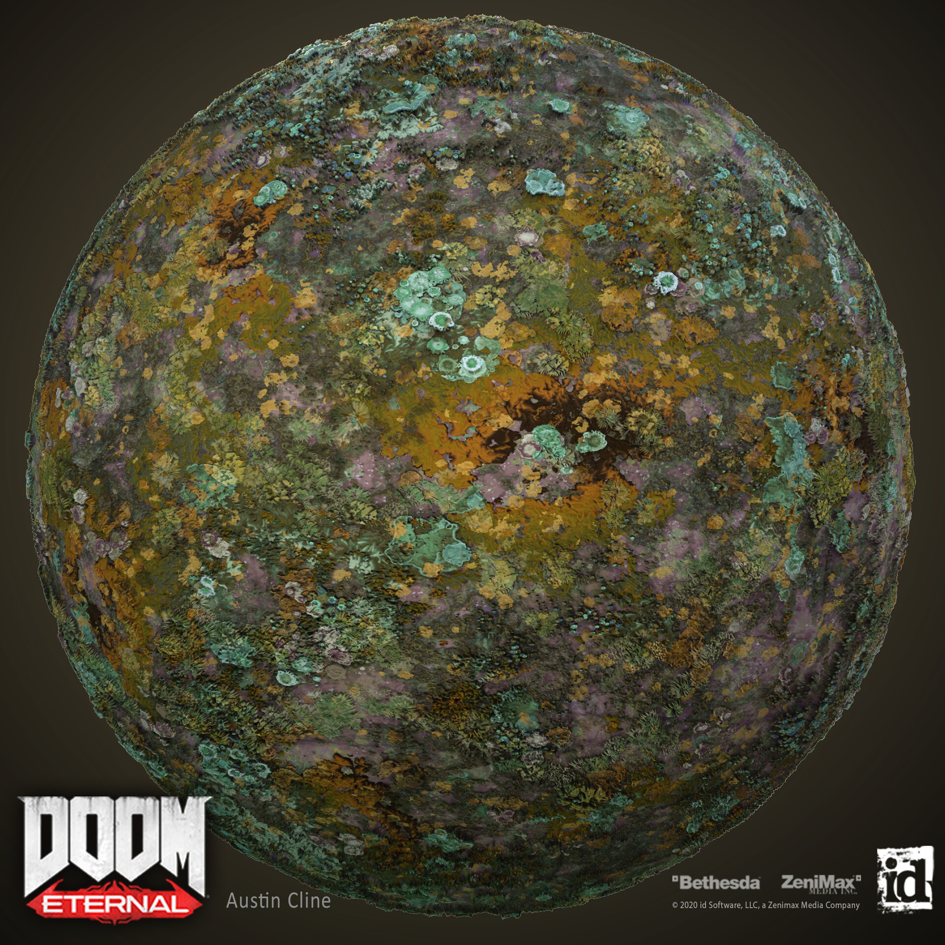 Austin Cline - coral and lichen