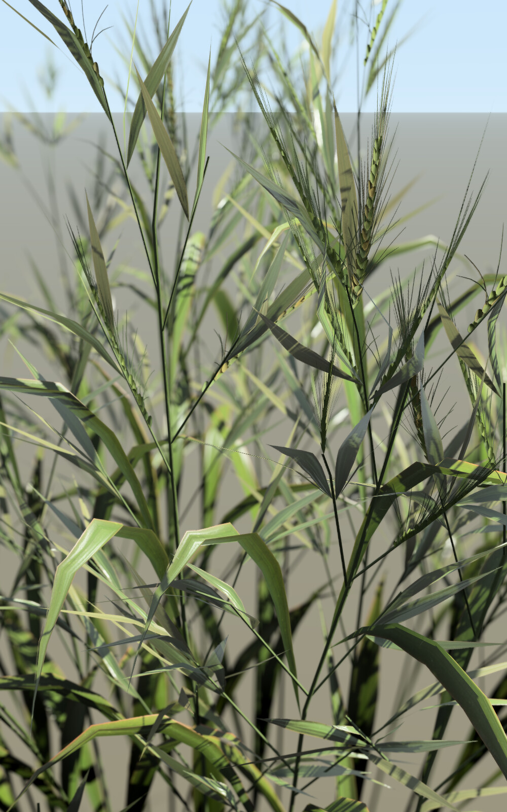 ArtStation - Wheat GAMES