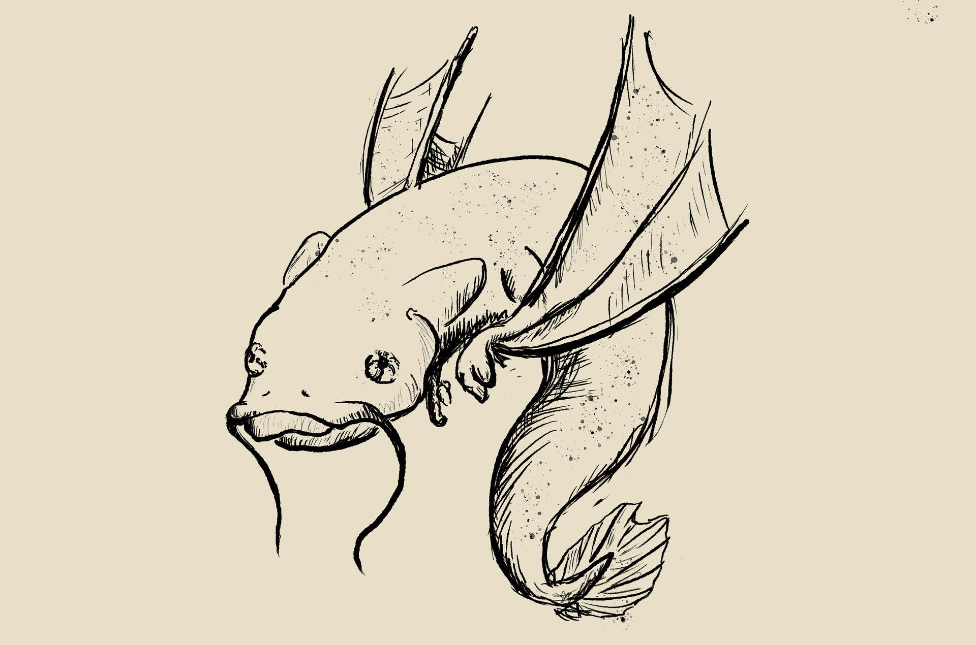 how to draw a dragon fish