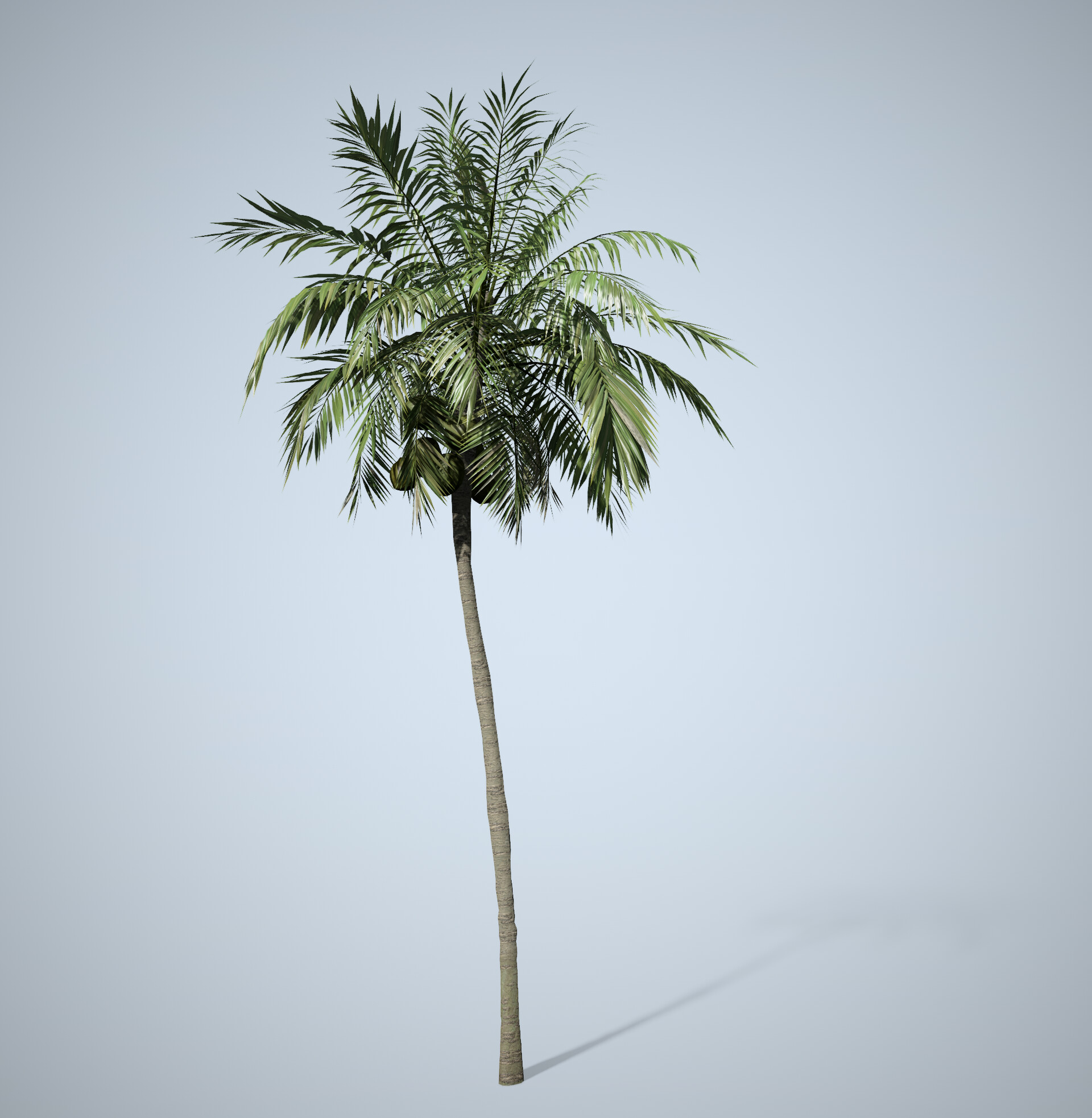ArtStation - Palms