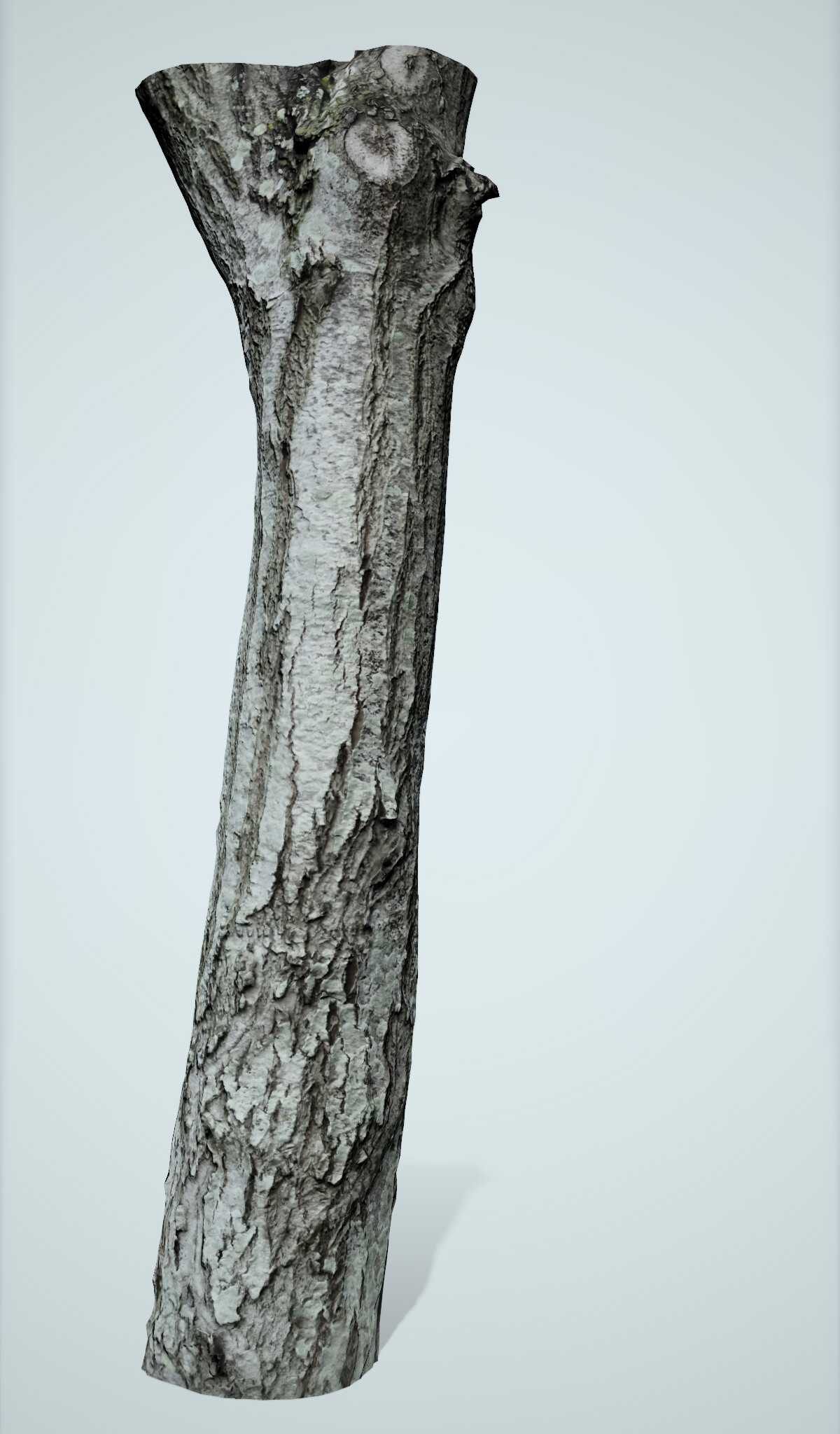 ArtStation - Maple Photogrammetry