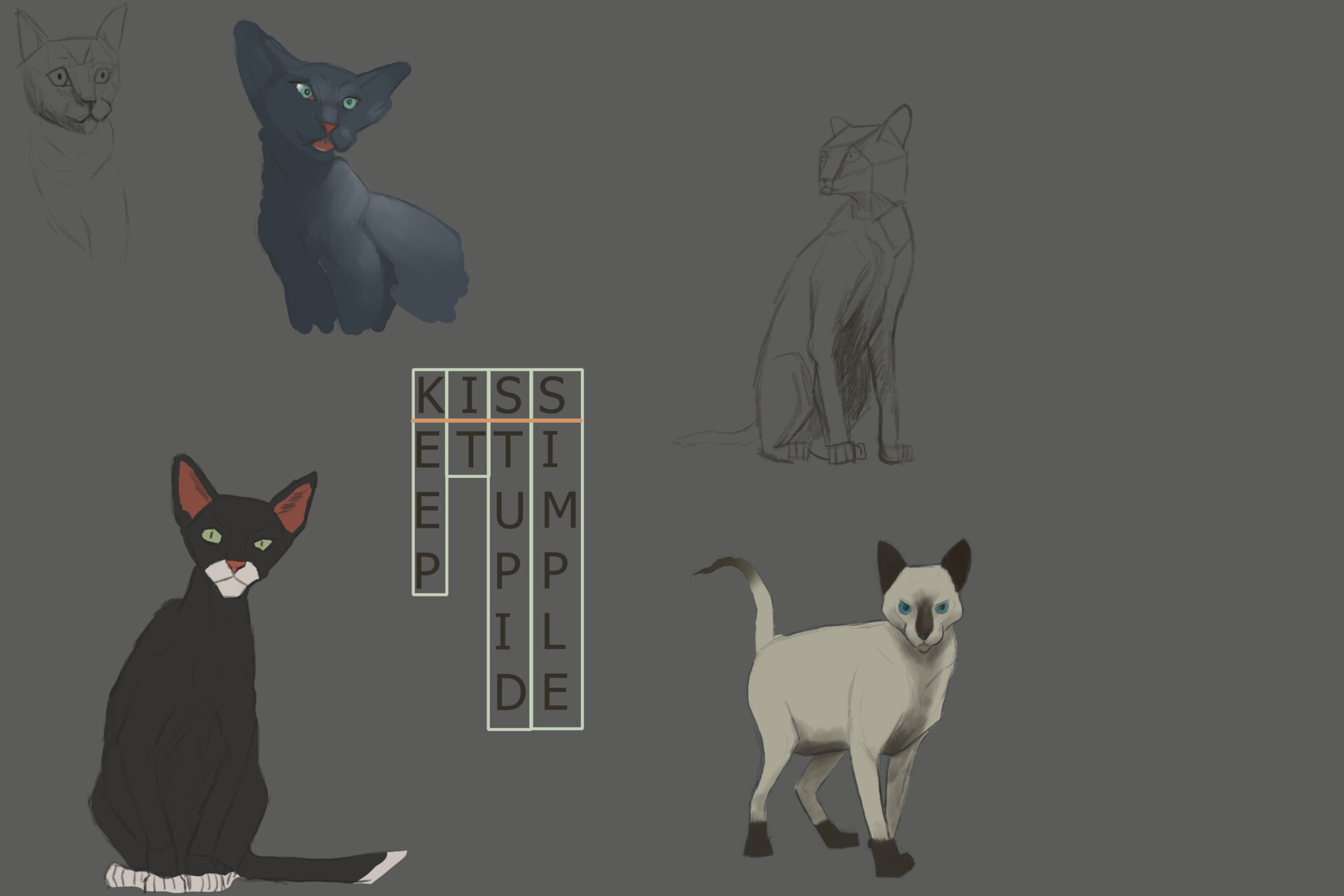 ArtStation - Dobby Cat Study