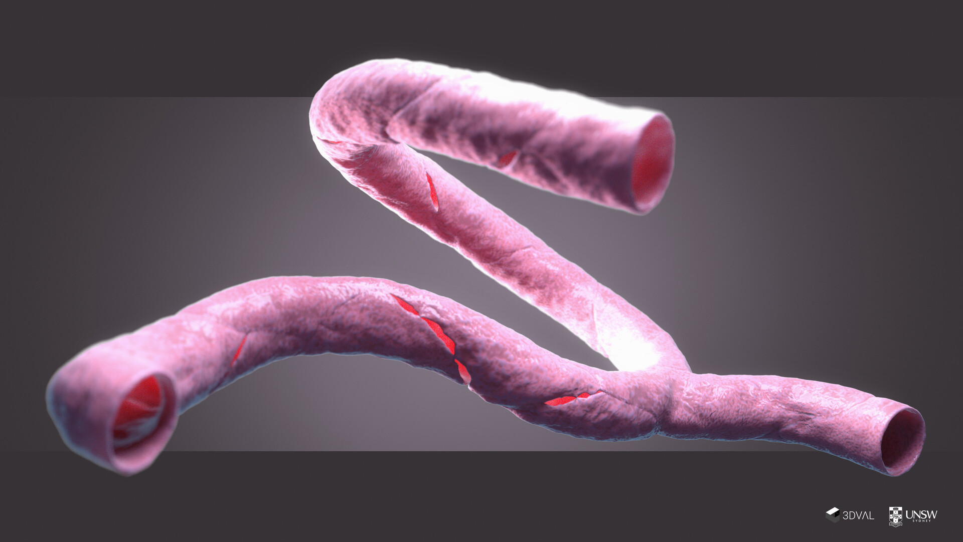 ArtStation - Capillary - UNSW work