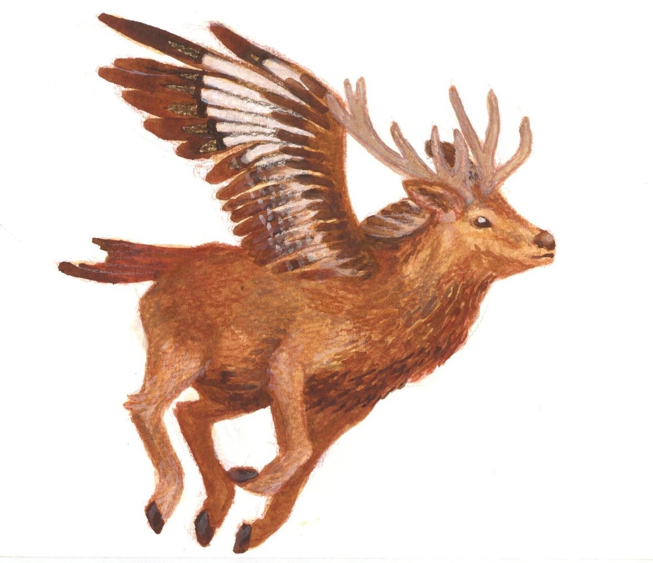 ArtStation - Peryton