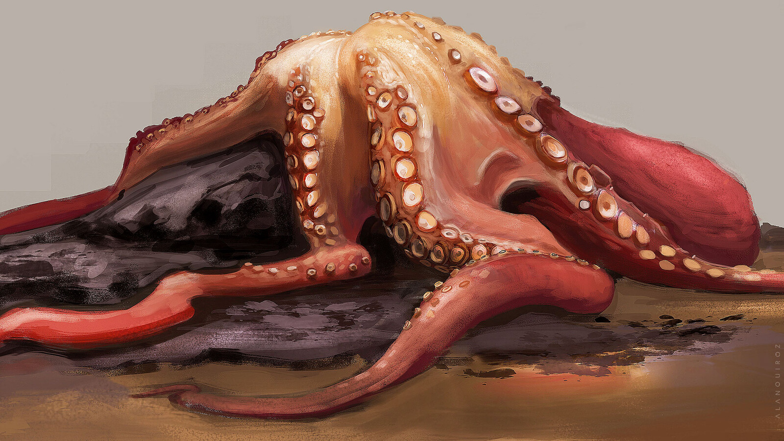 Alan Quiroz - Octopus