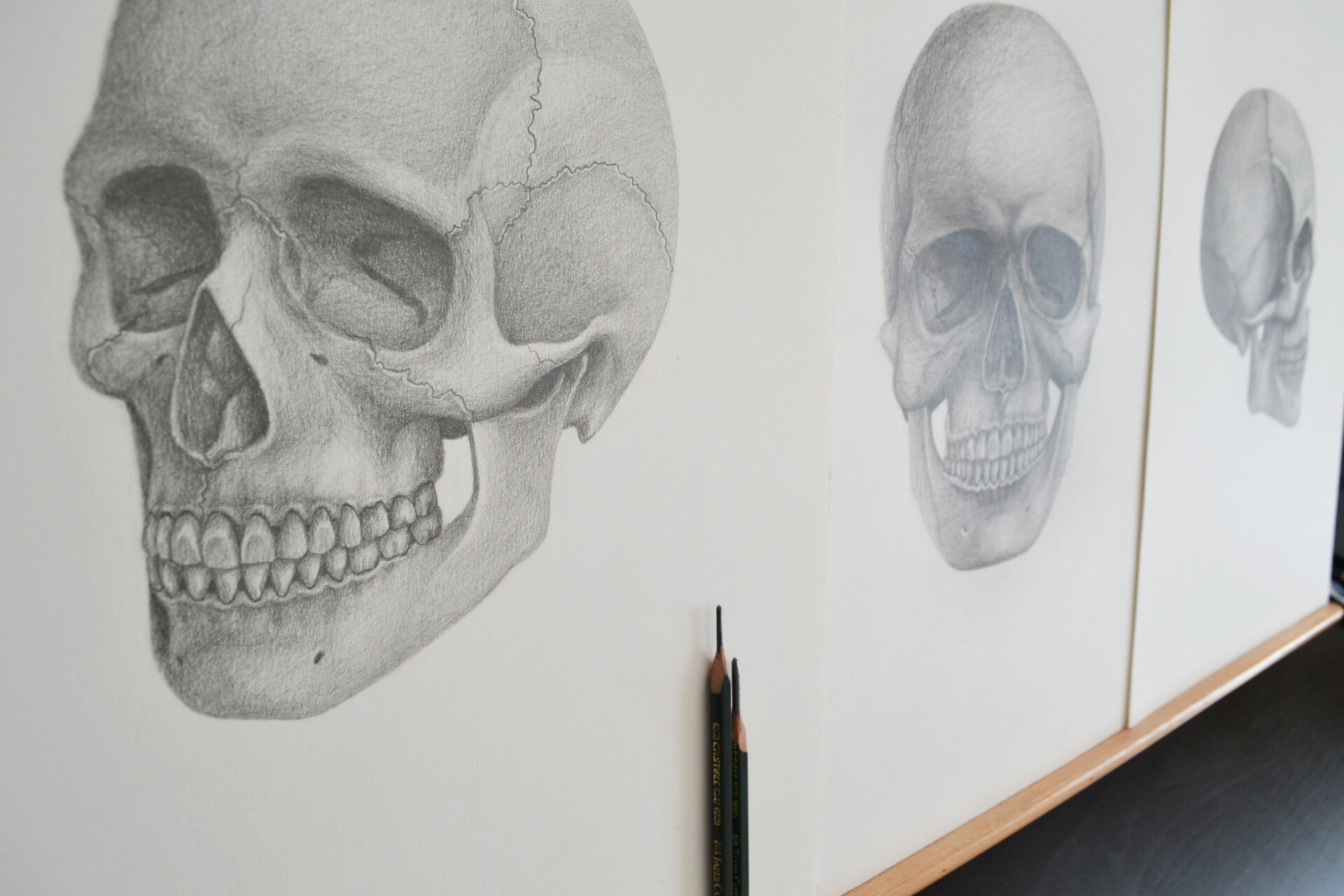 Egle RM - Classical Drawing -Human skull study, graphite pencil